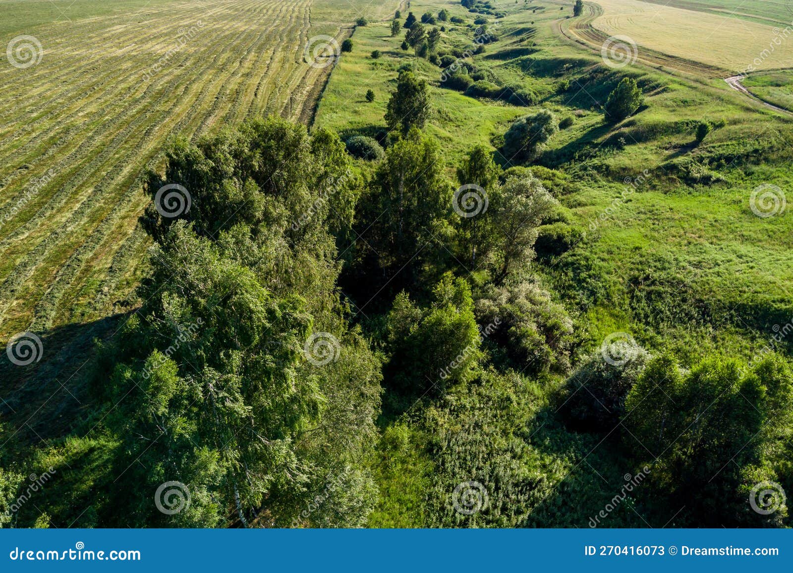View from a Small Height of an Overgrown Ravine between Two ...