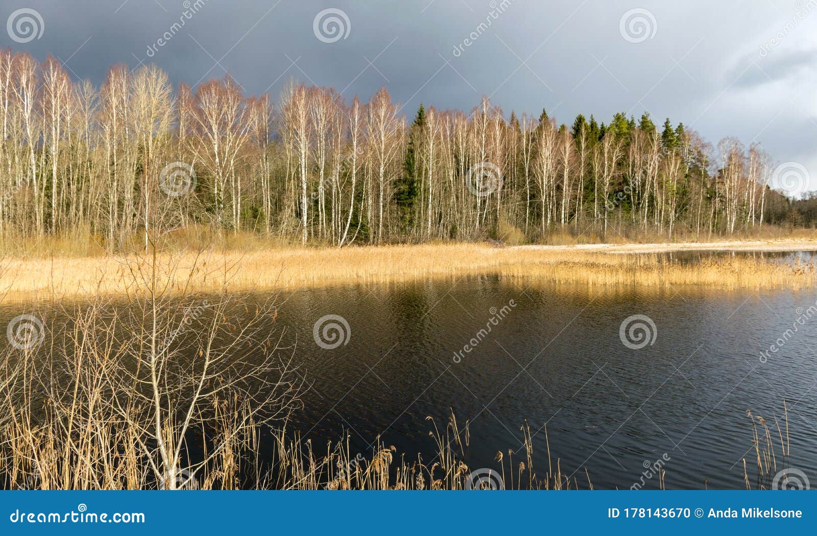 View of Small Lake in Early Spring, Sunlight Shining on Trees Stock ...