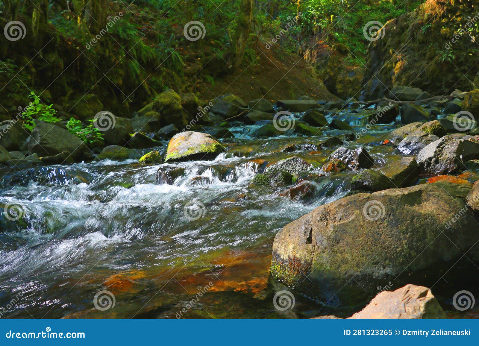 View of a Small Mountain River. the Water Flows Down. Stock Image ...