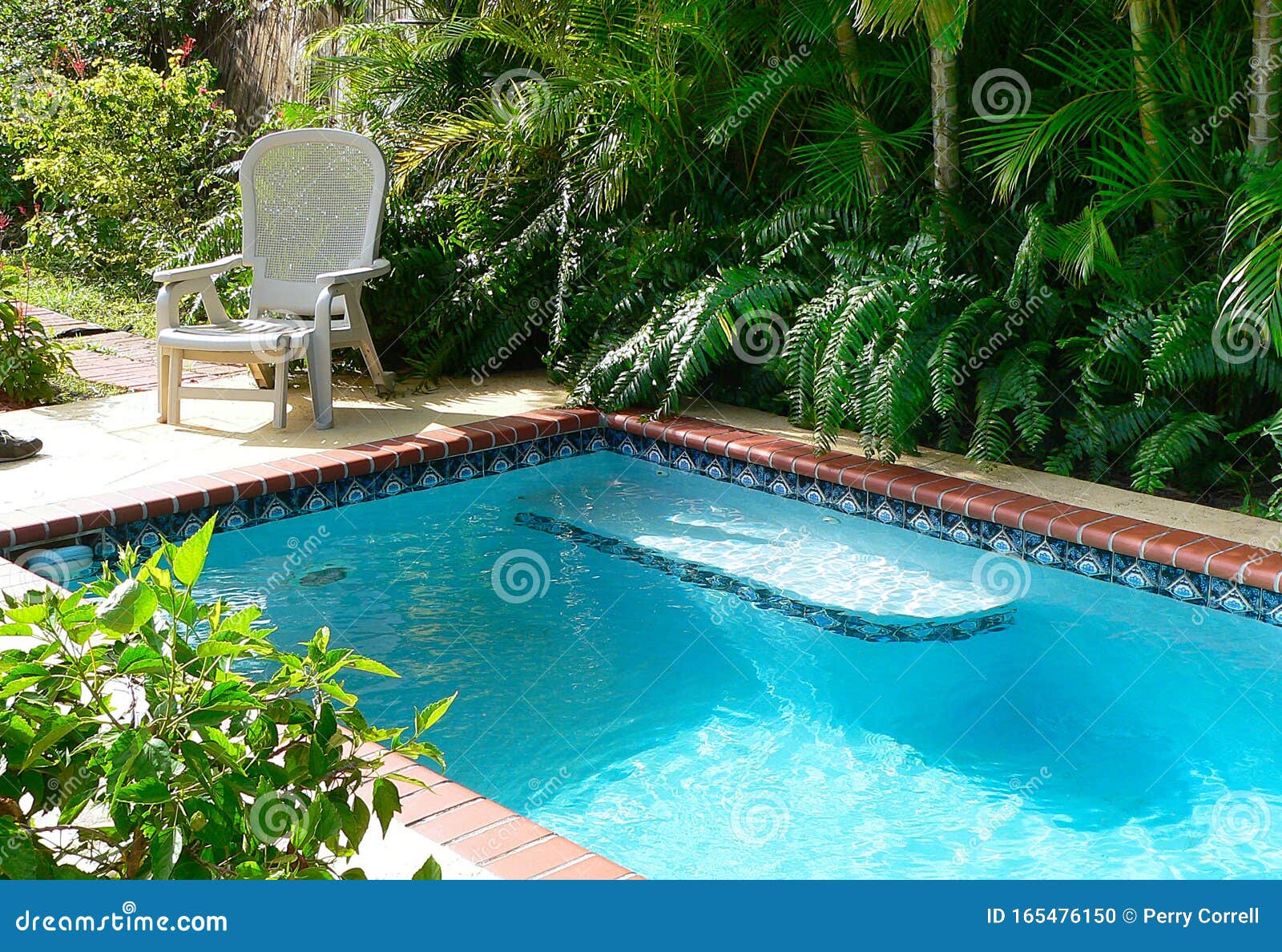 View of a Small Pool in a Tropical Setting. Stock Photo - Image of ...