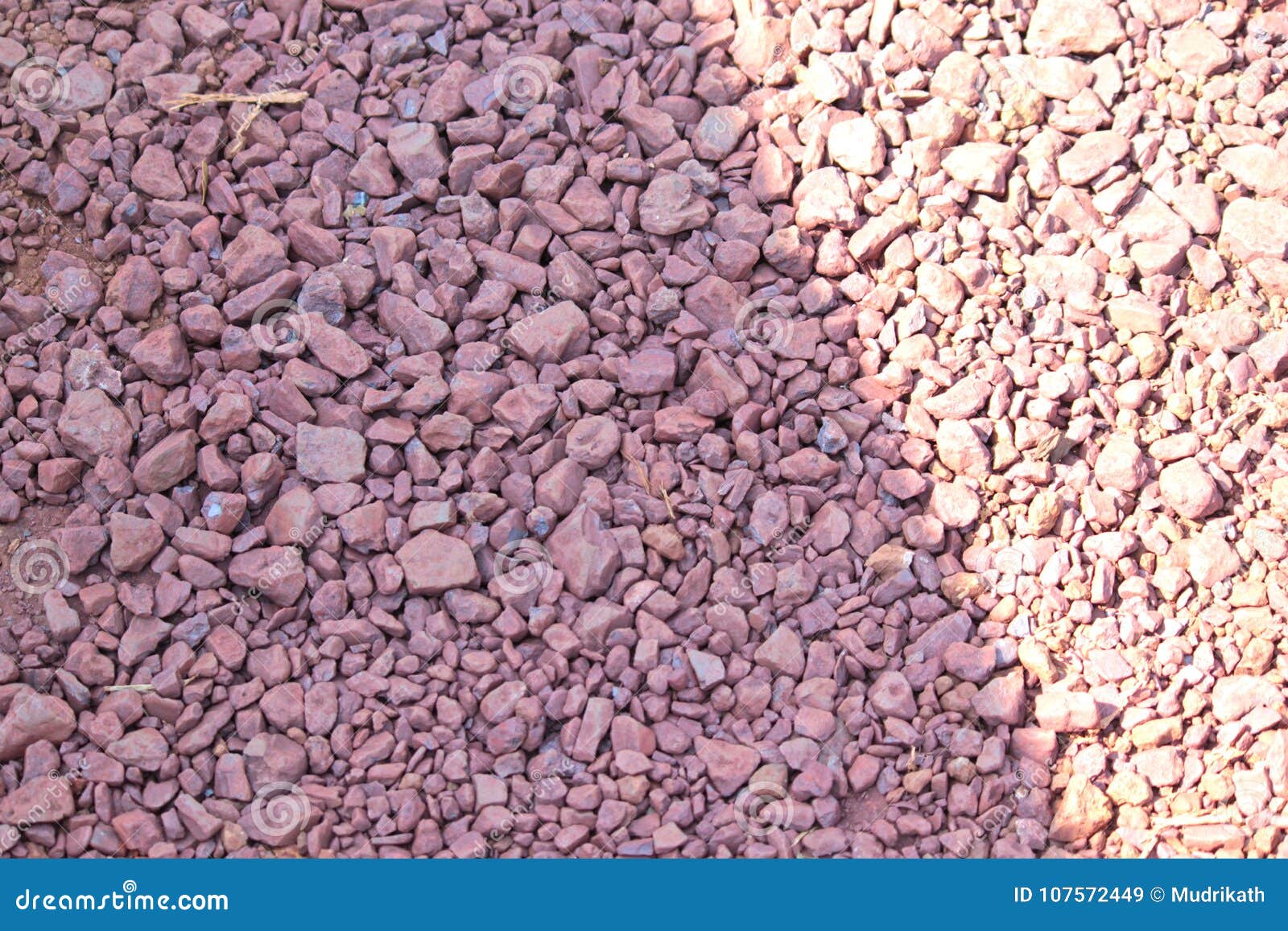 View of Small Stones on Ground, Stone Background, Pebble Background ...