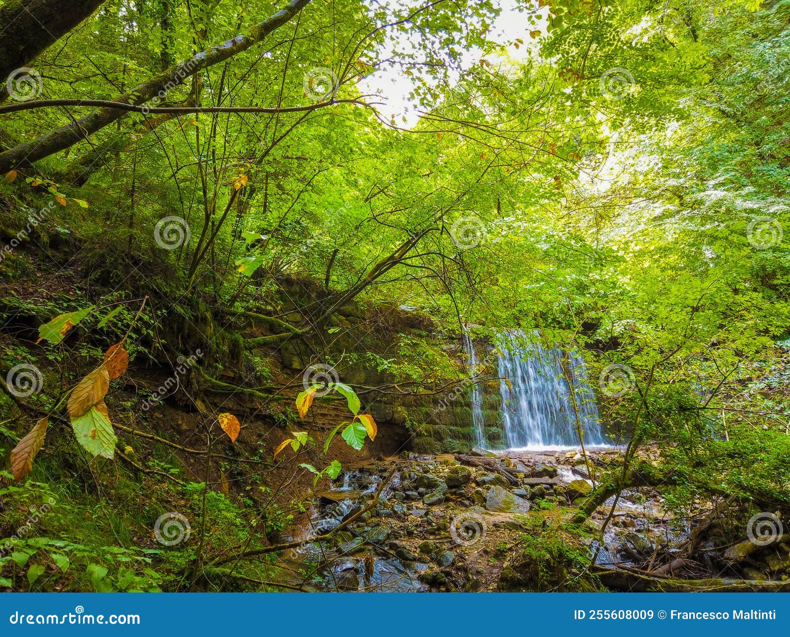 View of a Small Waterfall in the Woods Stock Image - Image of europe ...