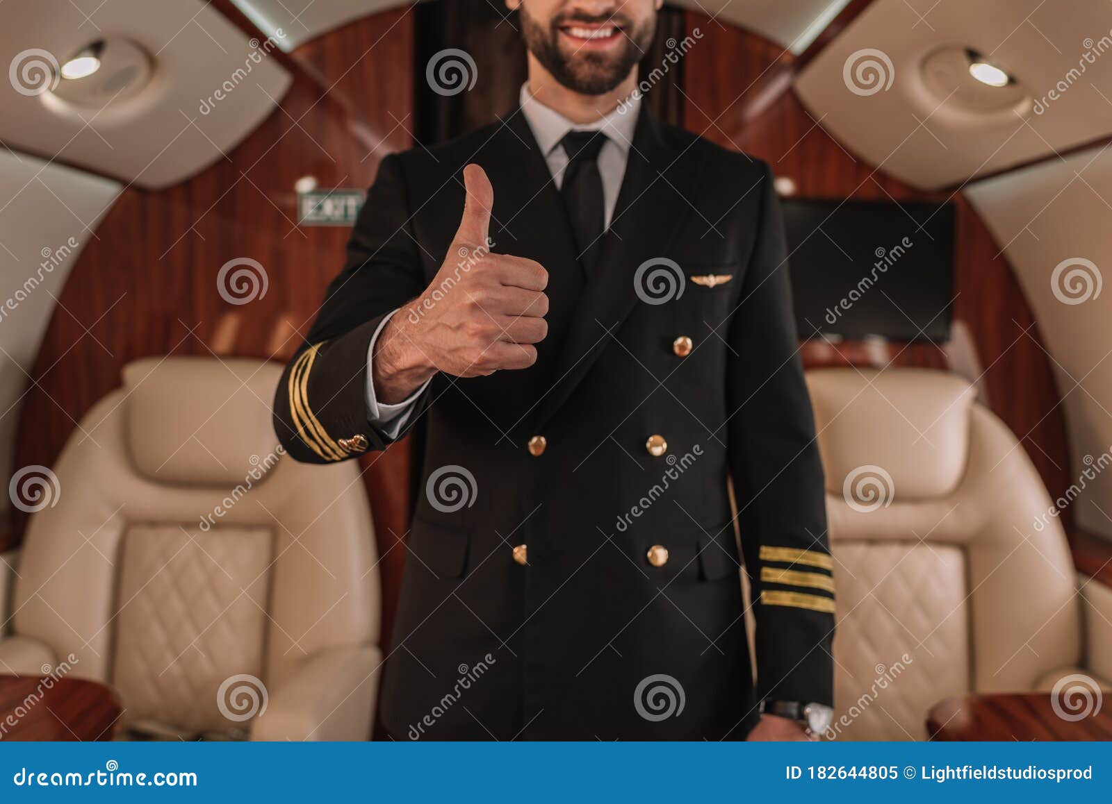 Smiling Pilot At The Airport Royalty-Free Stock Image | CartoonDealer ...