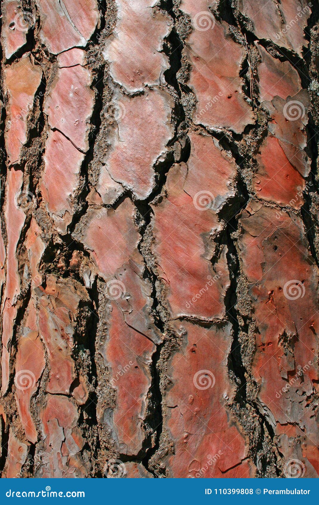 Surfaced Segments Stock Photos - Free & Royalty-Free Stock Photos from ...