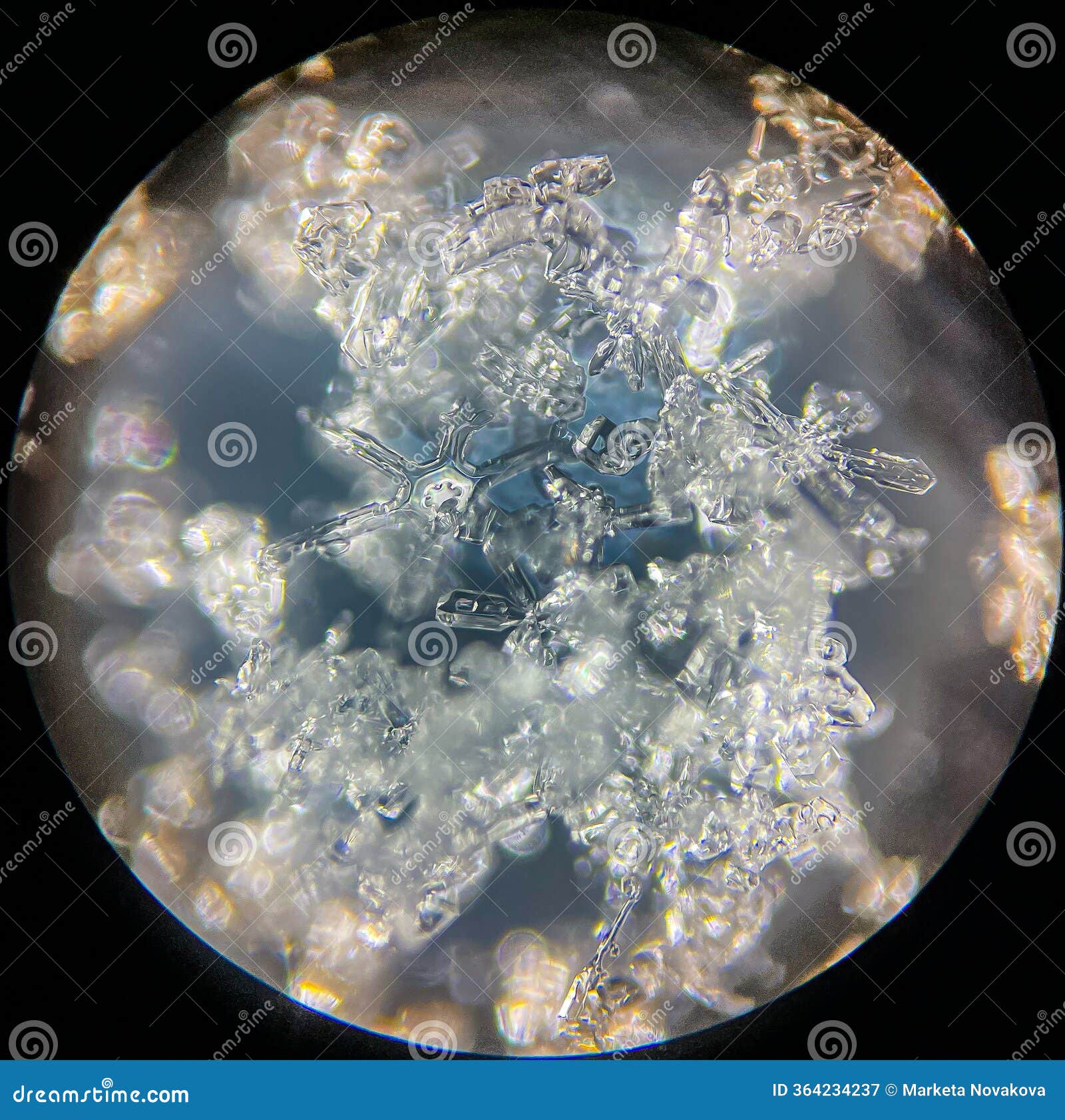 View Through Microscope At In Vitro Fertilization Process Stock Photo ...