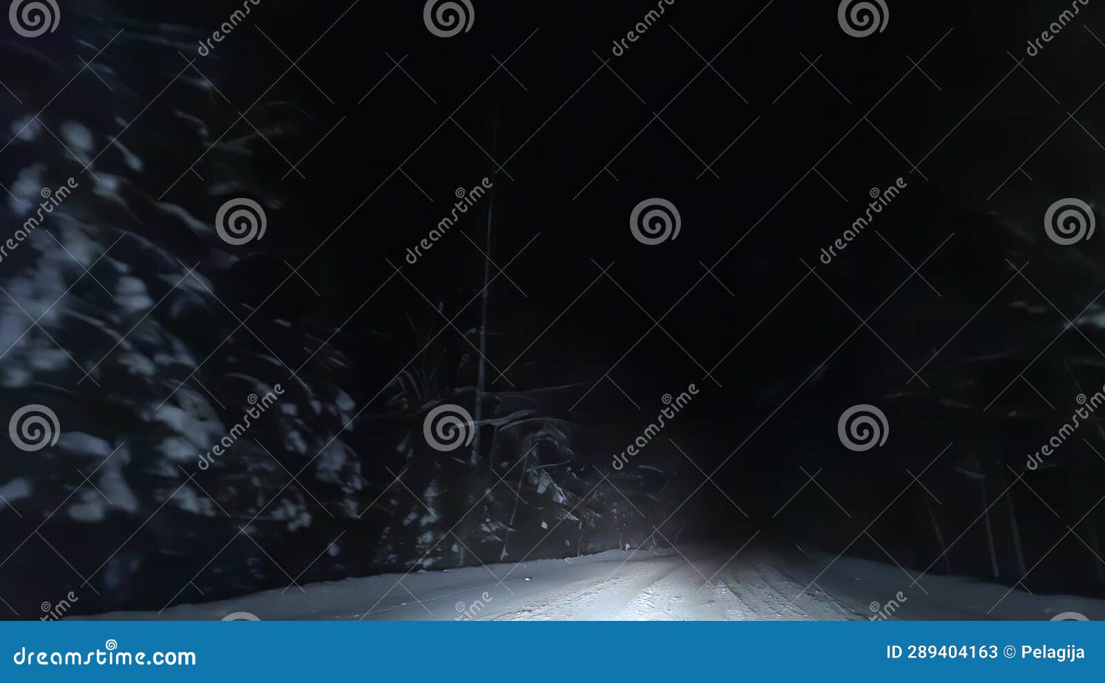 View of Snowy Forest Road at Night. Stock Video - Video of trip, travel ...