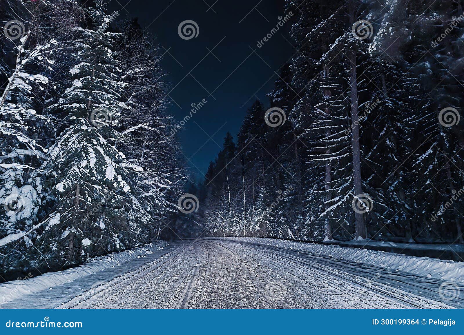 View of Snowy Forest Road at Night. Stock Photo - Image of road ...