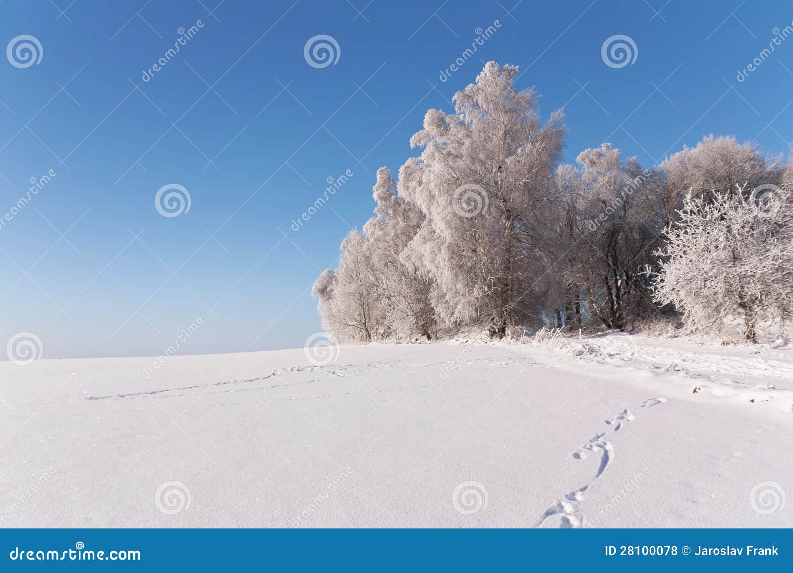 View of the Snowy Landscape Stock Photo - Image of snow, season: 28100078