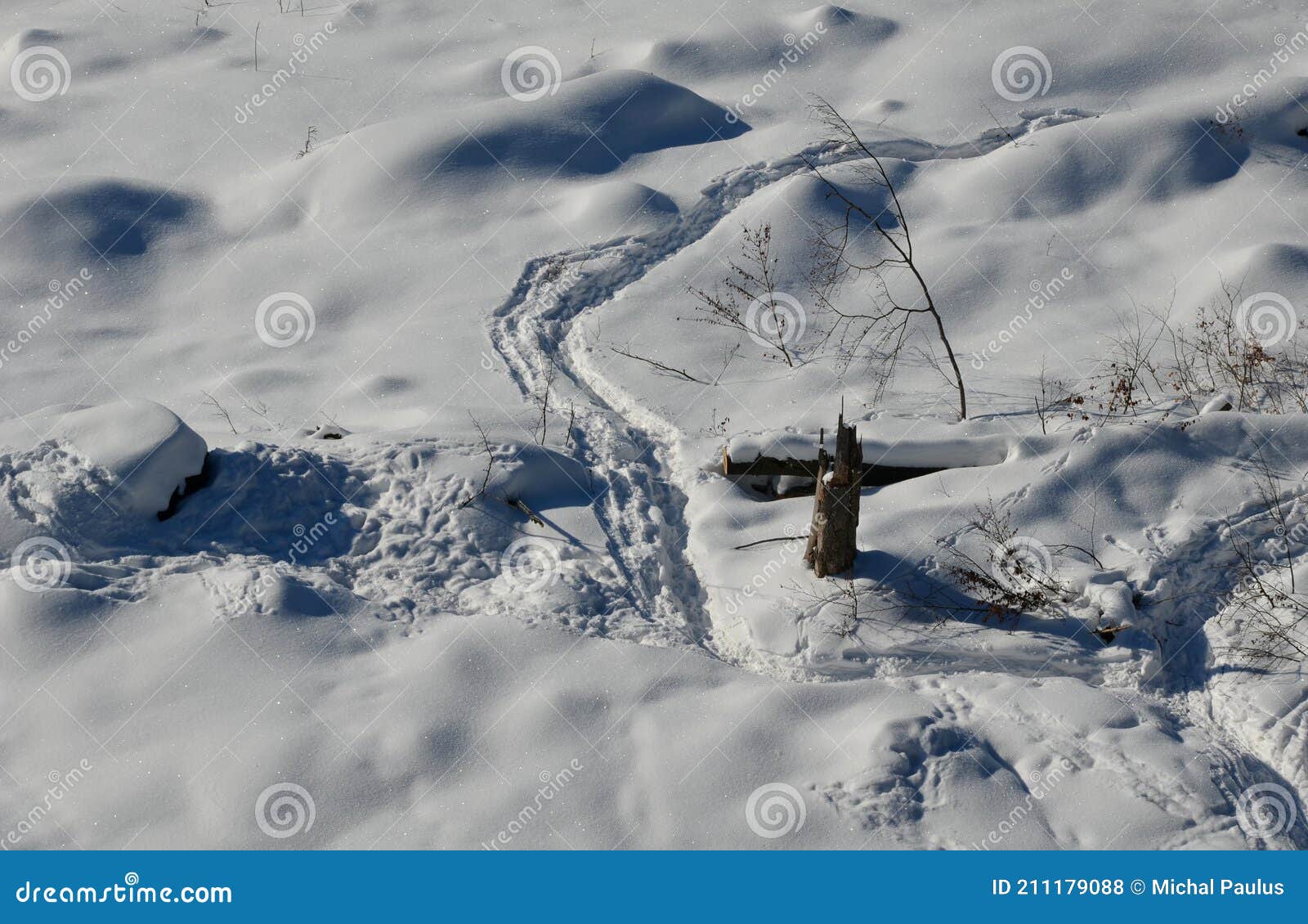 View of a Snowy Meadow with Long Snowy Human Footprints. Drone View ...