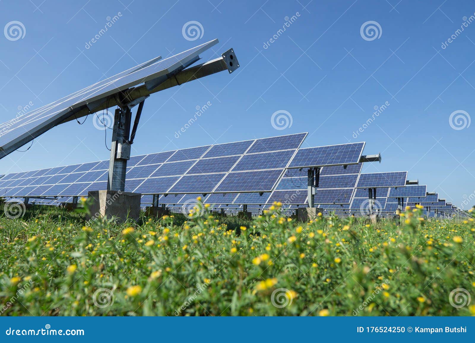 The View of the Solar Farmsolar Panel, Alternative Electricity Source ...