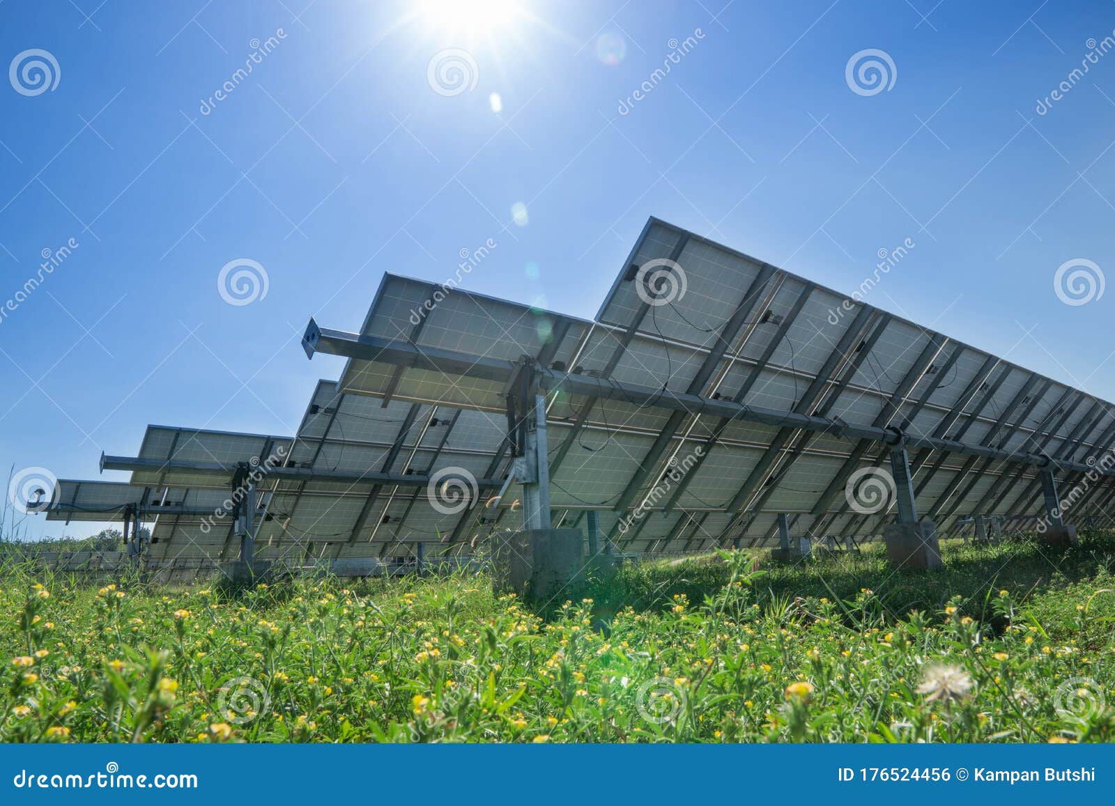 The View of the Solar Farmsolar Panel, Alternative Electricity Source ...