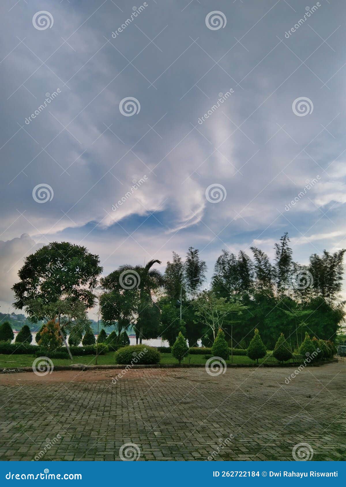 View of Some Trees Behind Shopping Mall Stock Photo - Image of trees ...