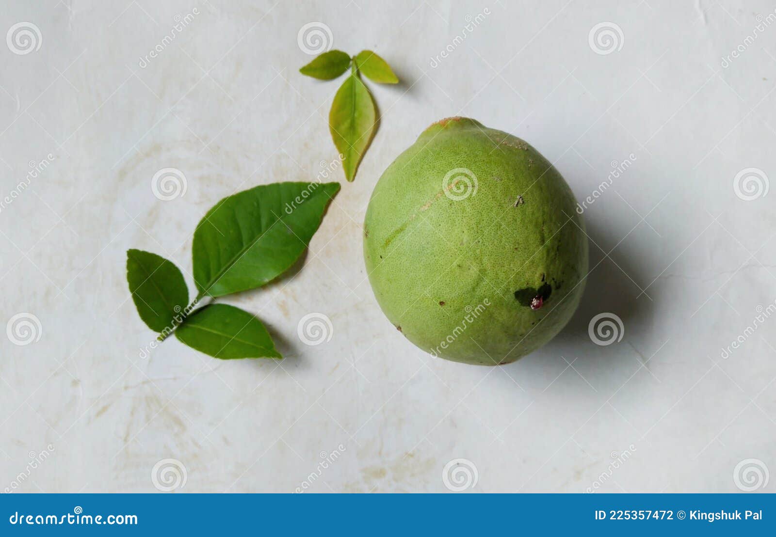 View of Spanish Lima stock photo. Image of branch, spanish - 225357472