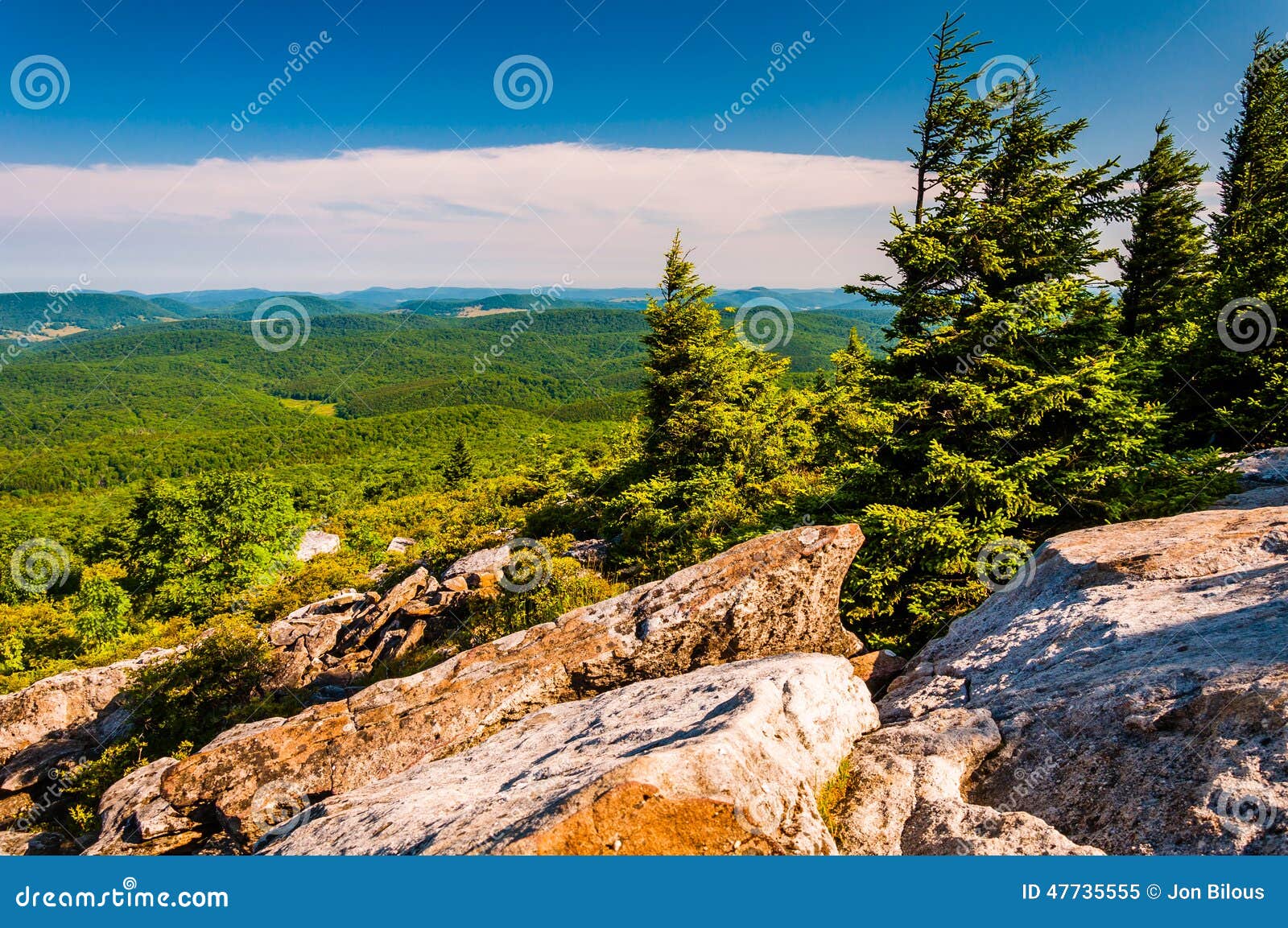 Spruce Knob Lake At Night, In Monongahela National Forest, West ...