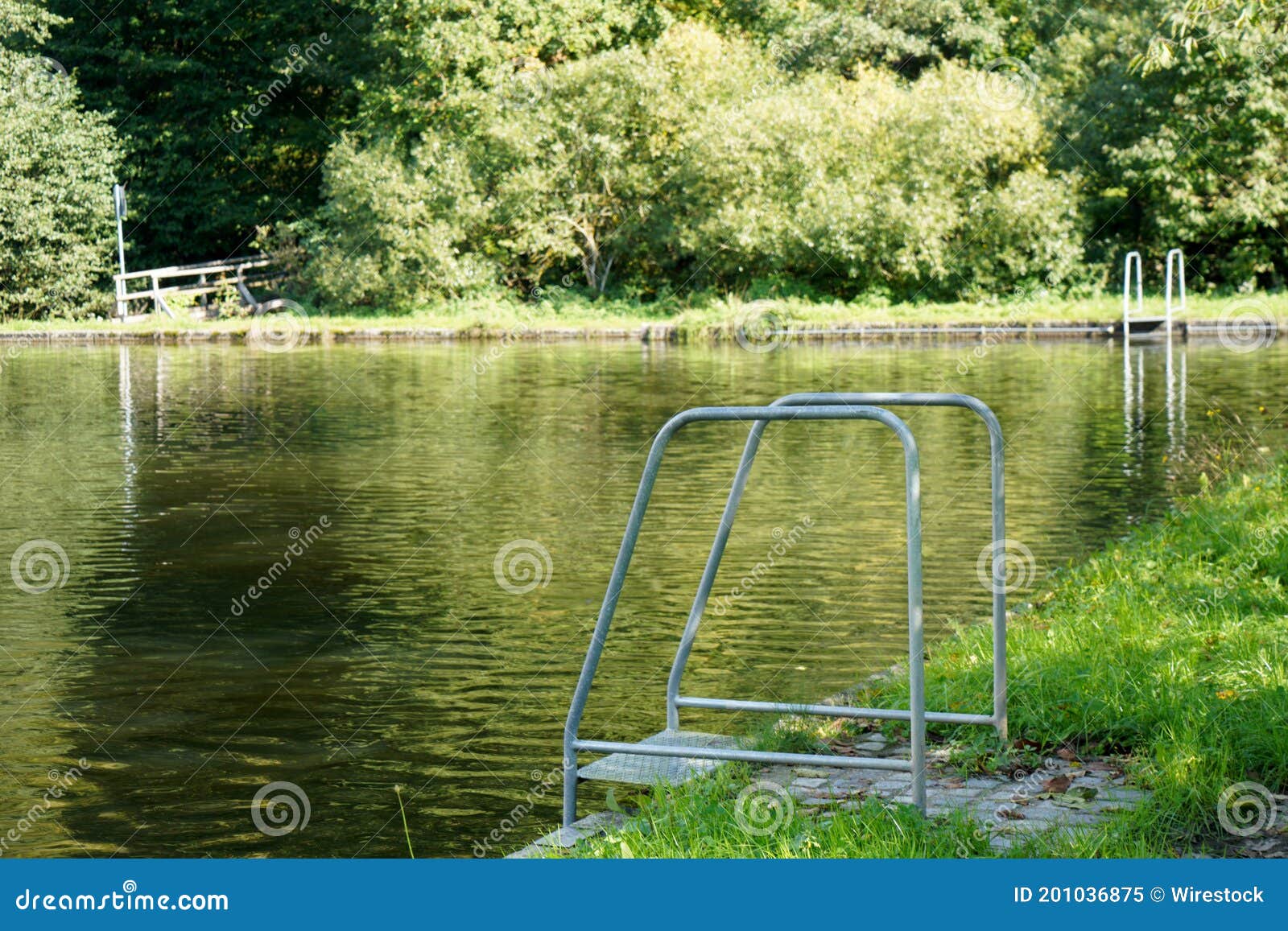 View of the Stainless Steel Ladder To the Pond Stock Image - Image of ...