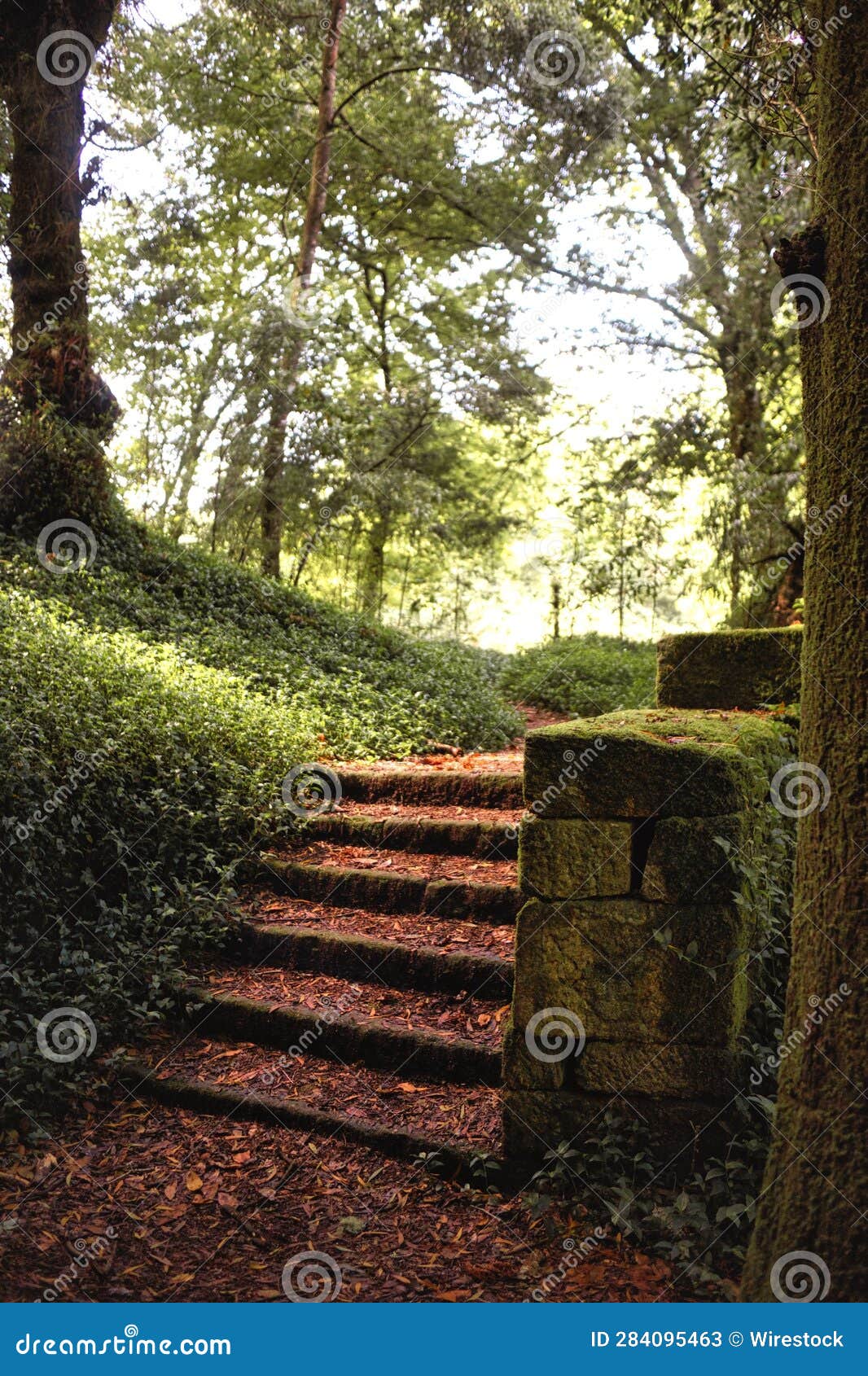 View of a Stairway Leading To a Raised Path, Creates an Inviting ...