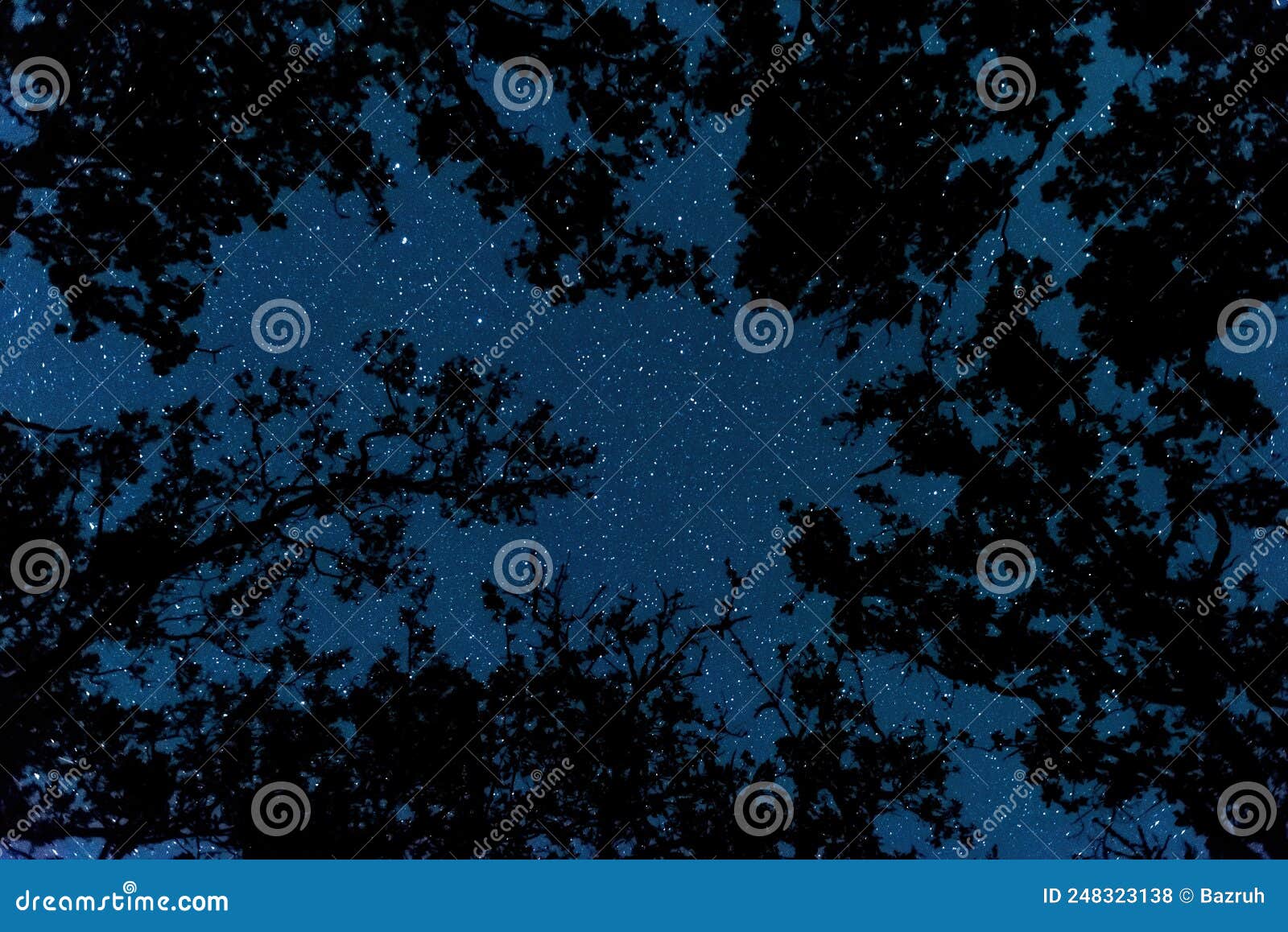 View of the Starry Sky in the Forest Stock Photo - Image of landscape ...