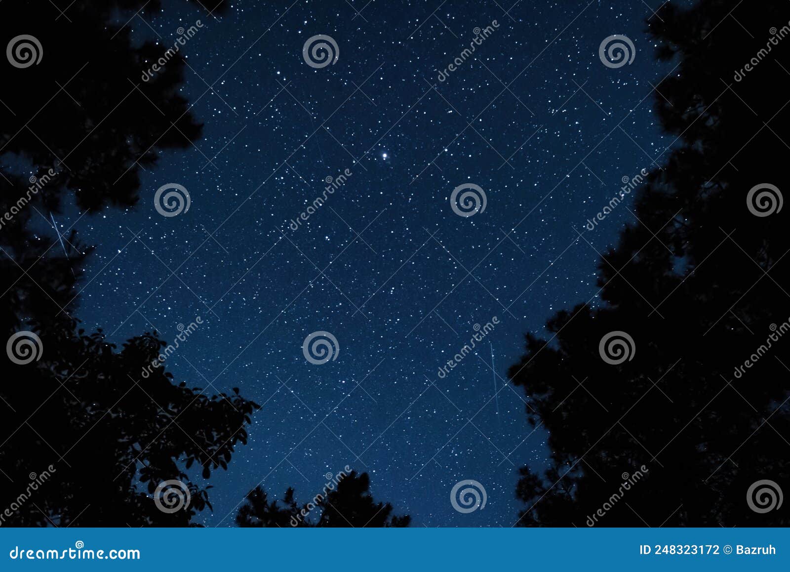 View of the Starry Sky in the Forest Stock Photo - Image of darkness ...