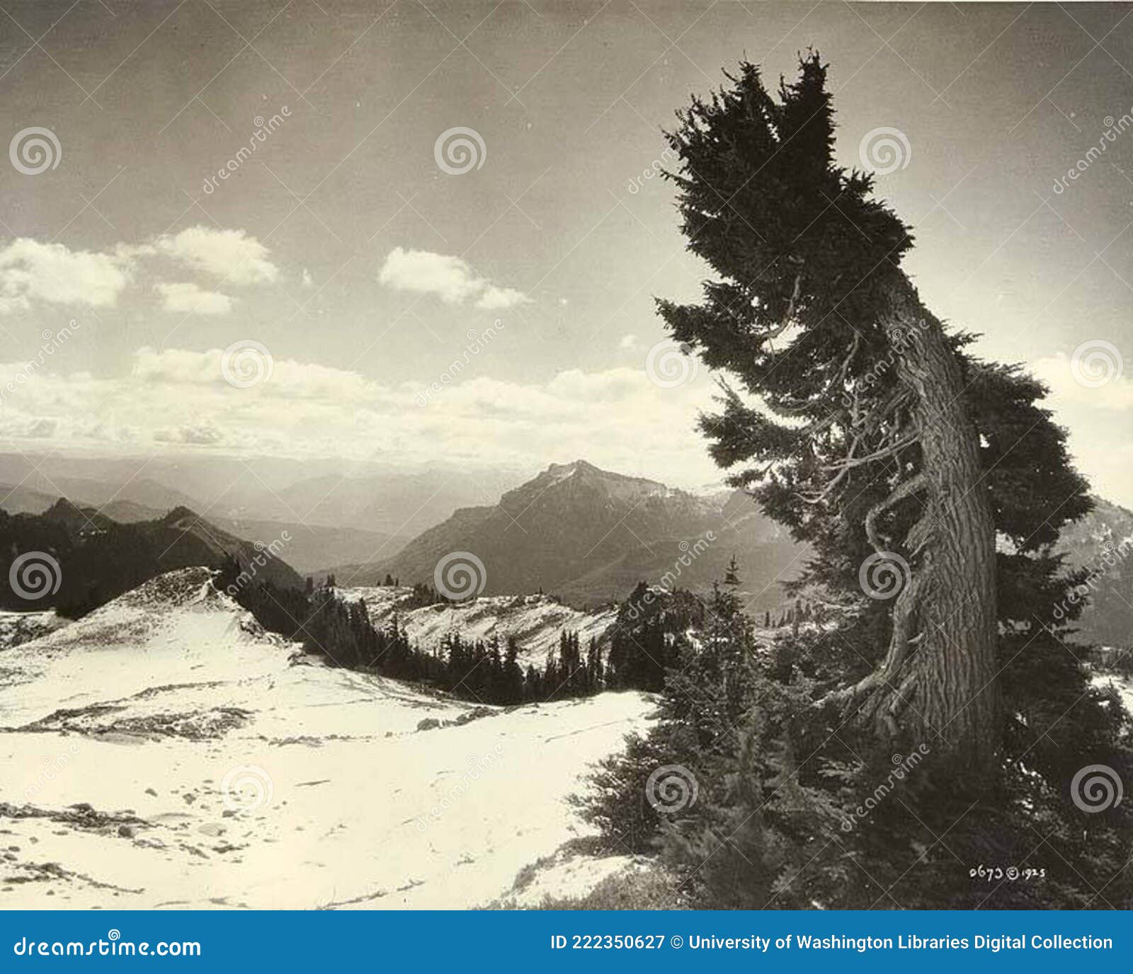 View Of Stevens Peak And The Cascade Mountains From Mount Rainier ...