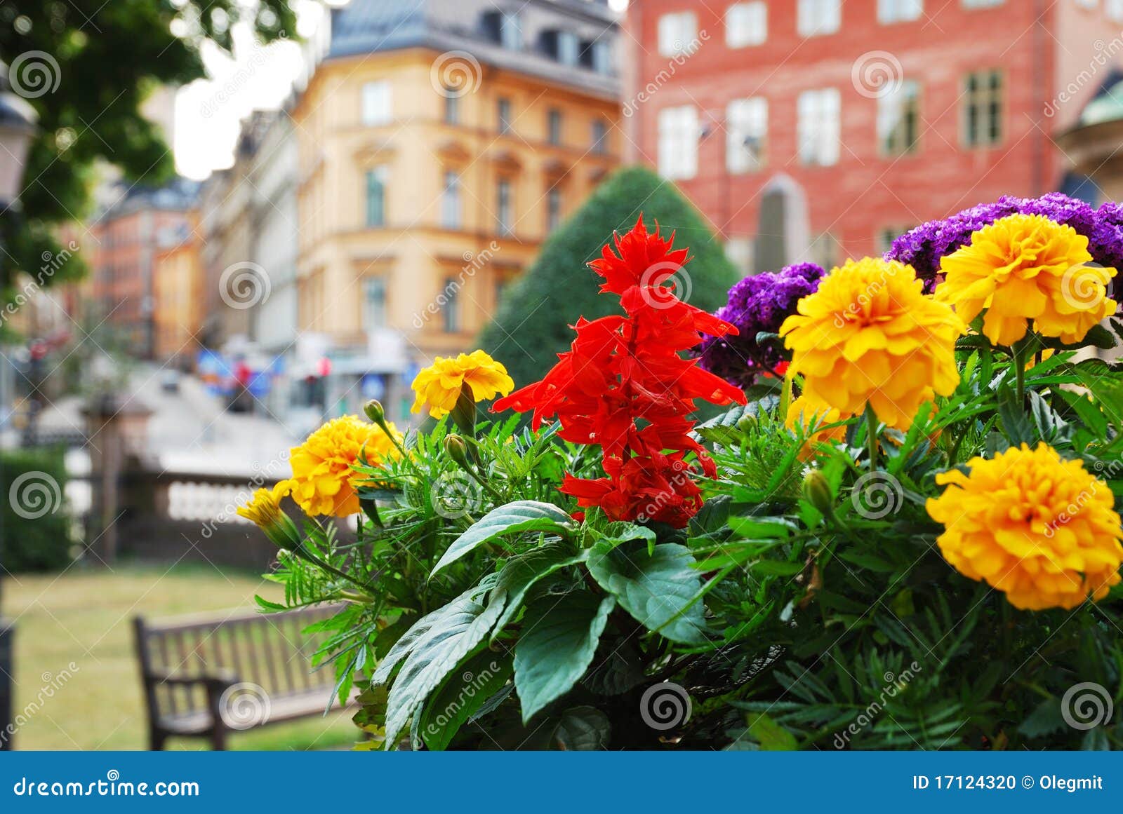 View of Stockholm with Flowers in the Foreground Stock Photo - Image of ...