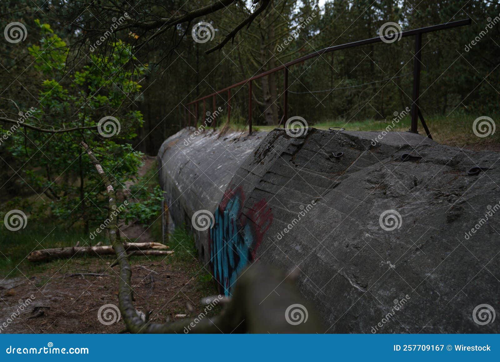View of a Stone Bridge with Graffiti Art in a Forest Stock Image ...