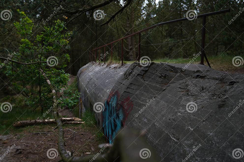 View of a Stone Bridge with Graffiti Art in a Forest Stock Image ...