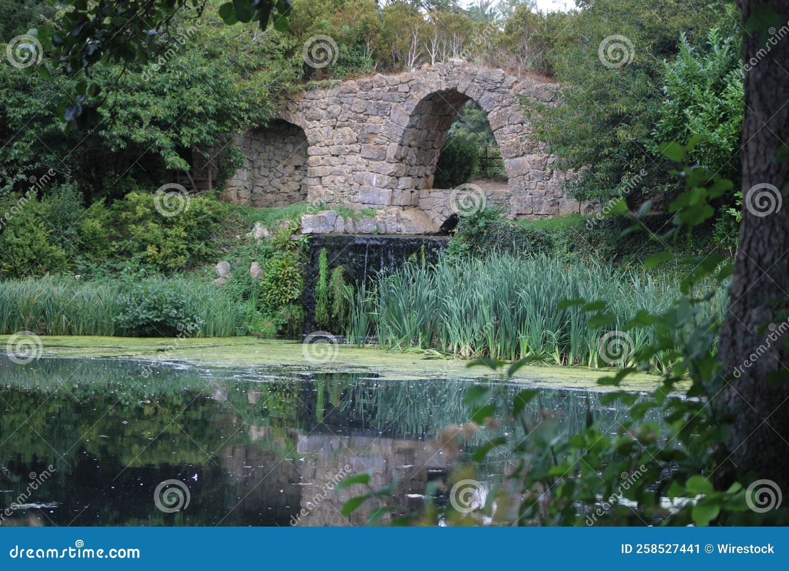 View of a Stone-built Bridge Ruins by the Water in the Greenery Stock ...
