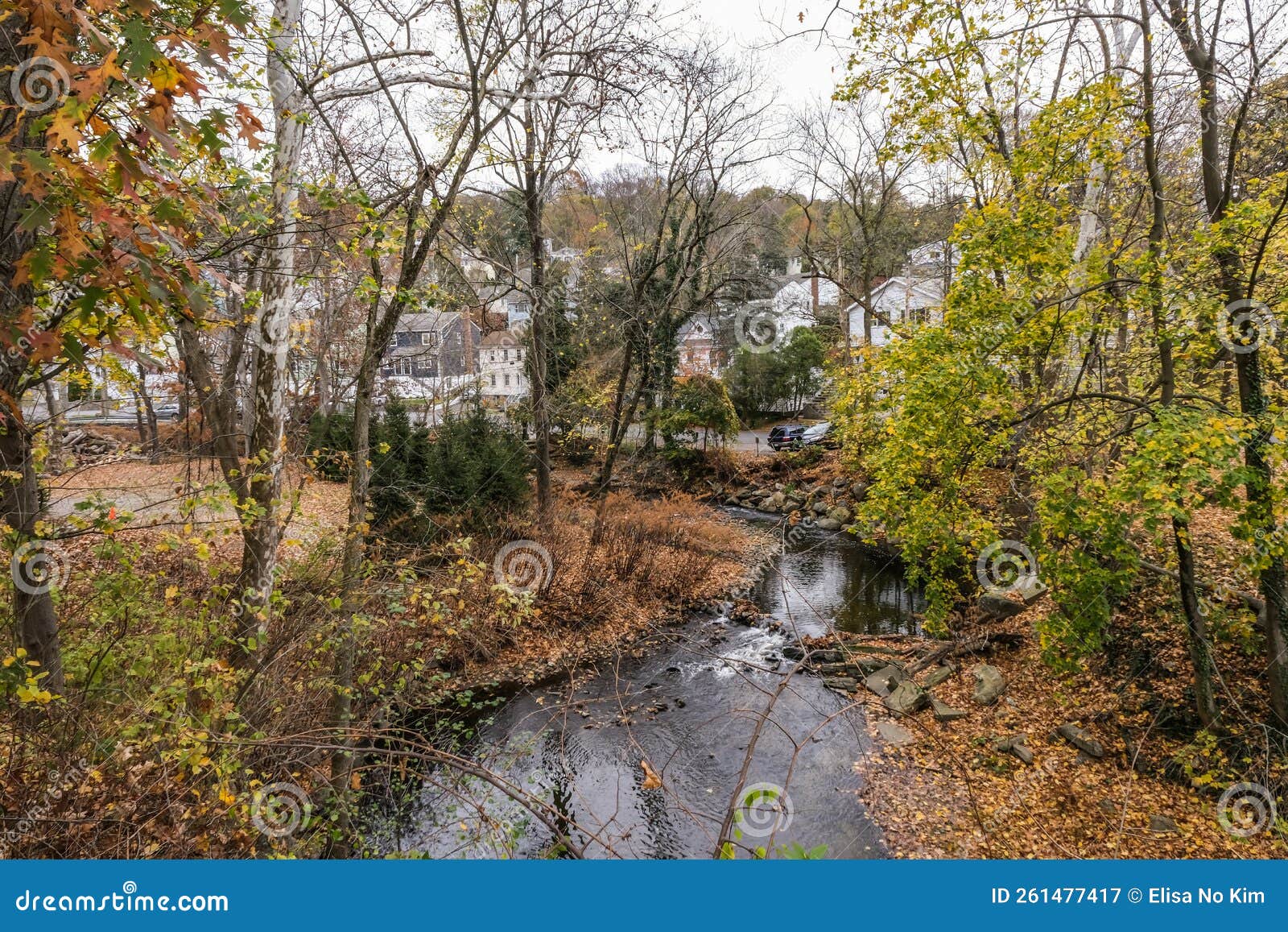 A Stream in the Village in the Autumn Stock Image - Image of view ...