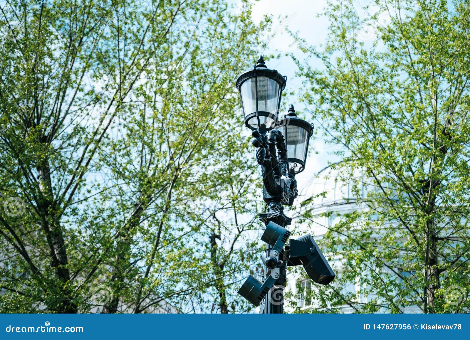View of the Street Lamp in the Park on a Background of Trees and Blue ...
