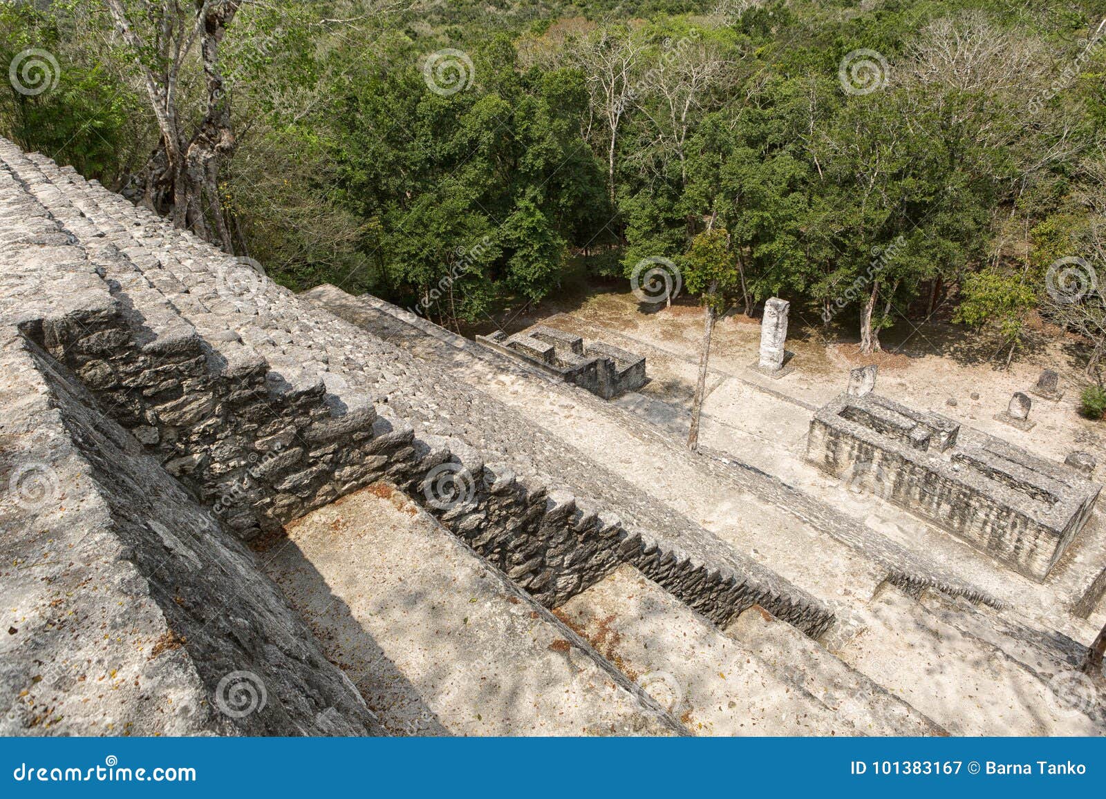 Looking Down from the Top of a Pyramid at Calakmul Maya Runs in Mexico ...