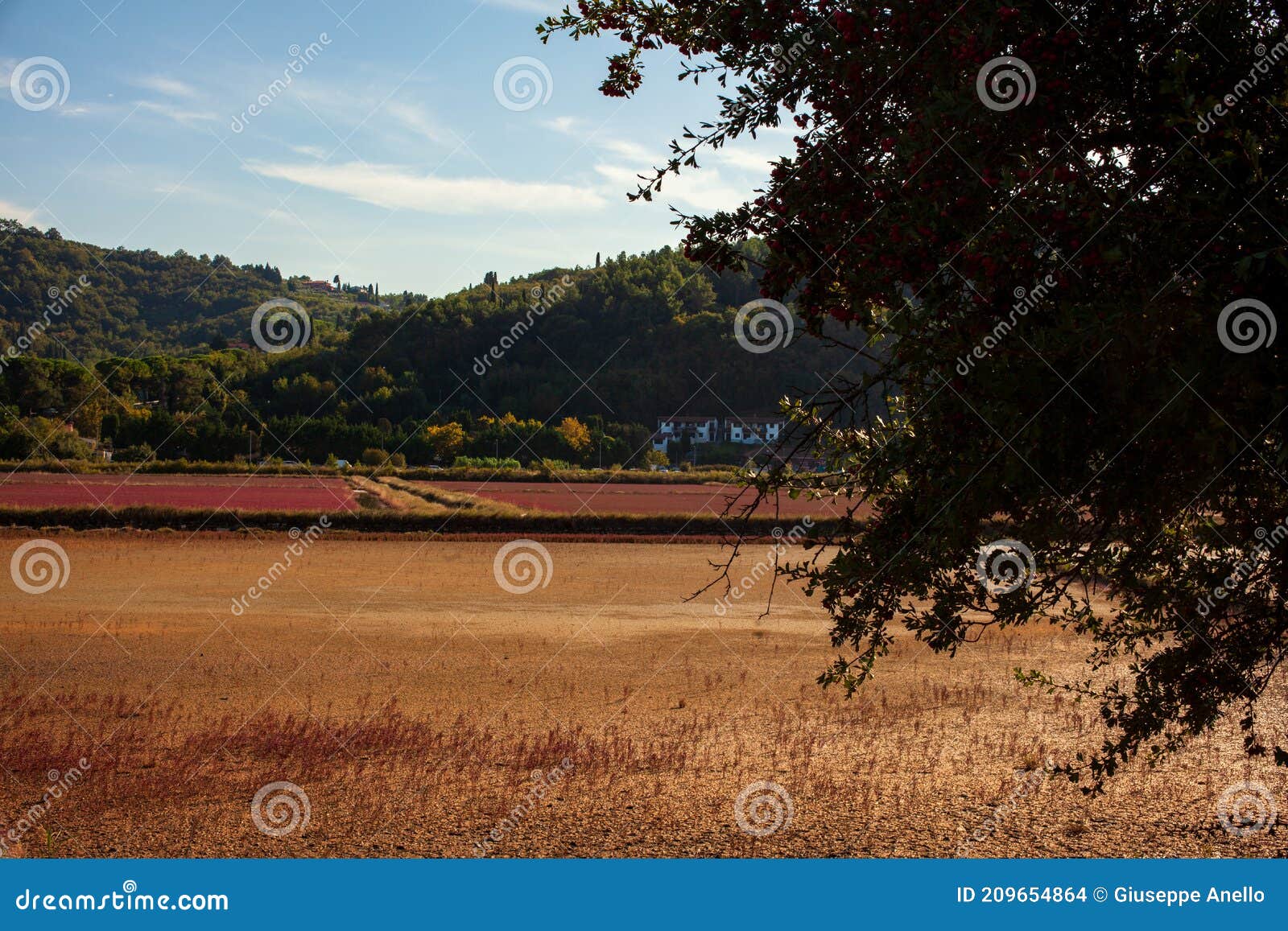 View of the Strunjan Nature Park, Slovenia Stock Photo - Image of park ...