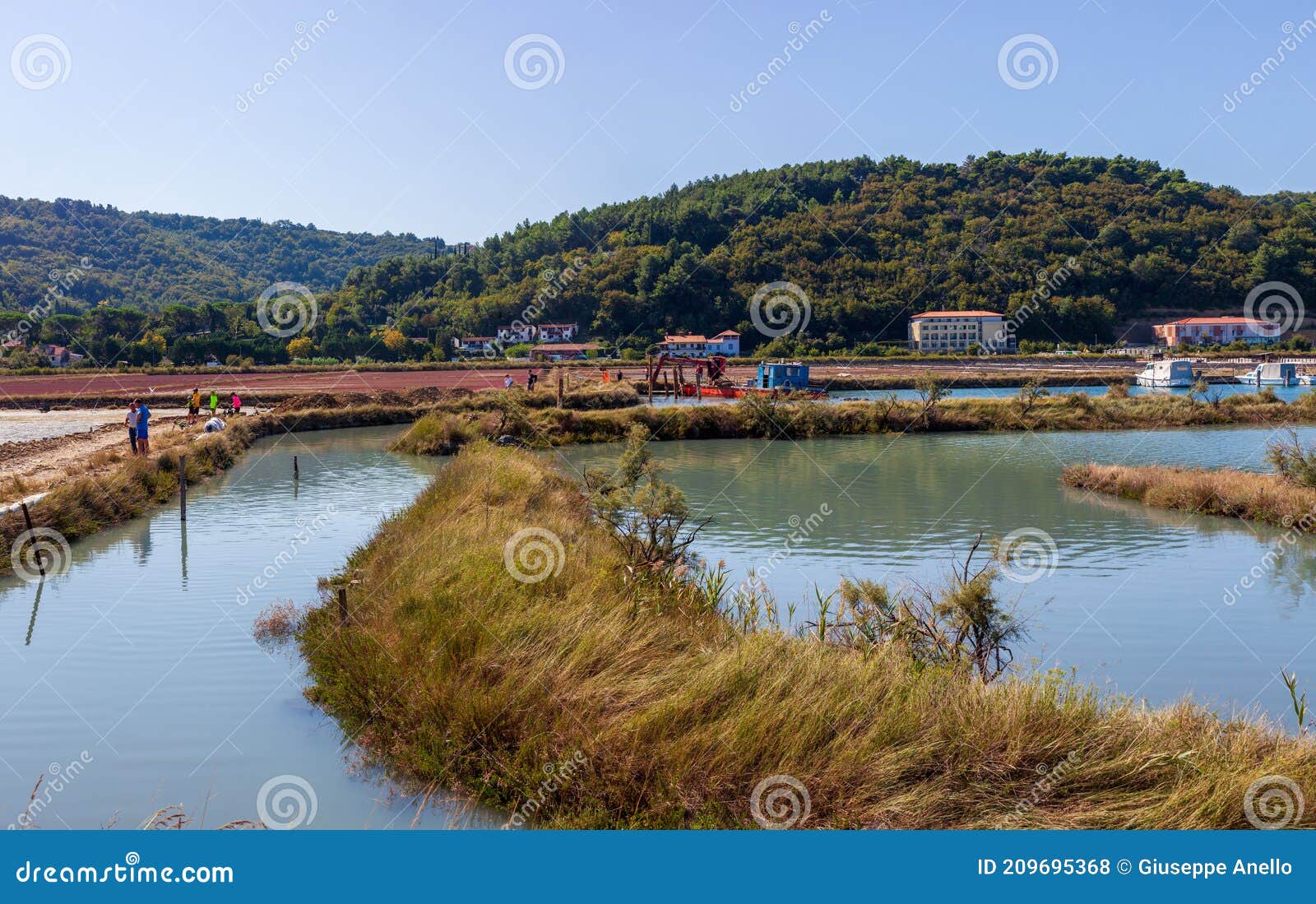 View of the Strunjan Nature Park, Slovenia Stock Photo - Image of ...