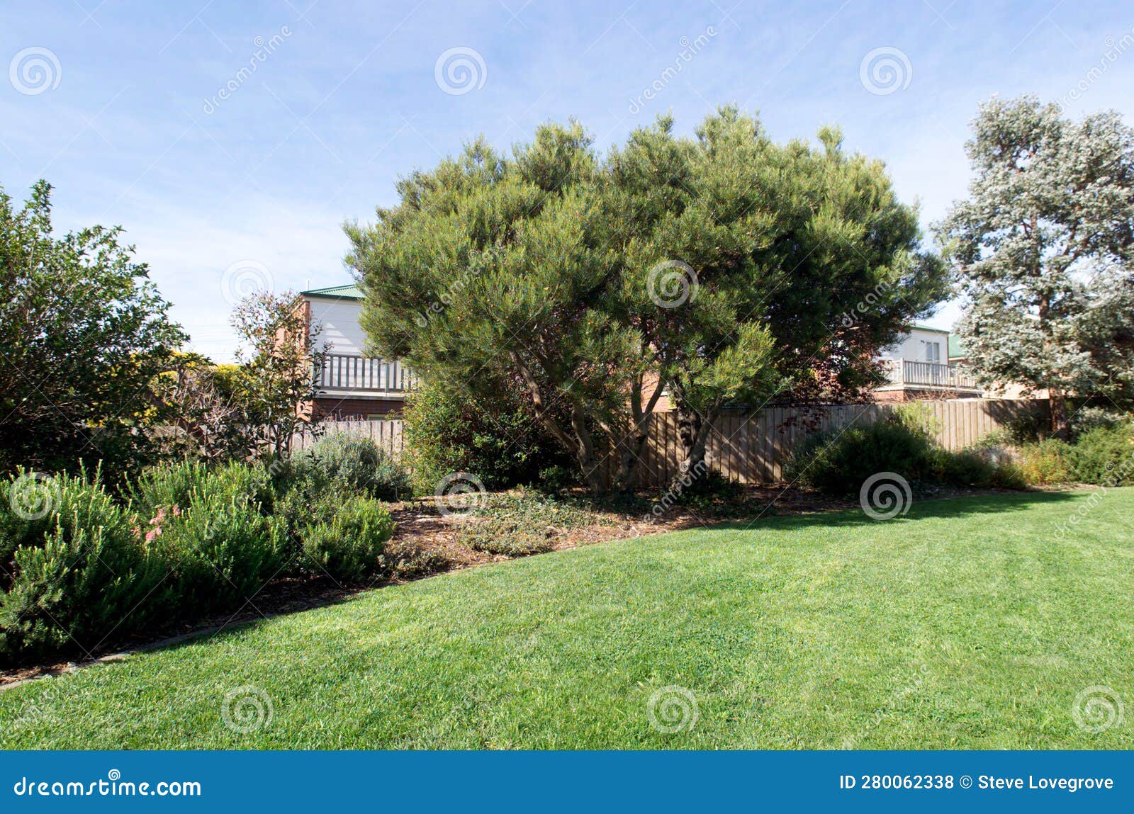 View of a Suburban Backyard Garden Stock Photo - Image of grass, shrubs ...