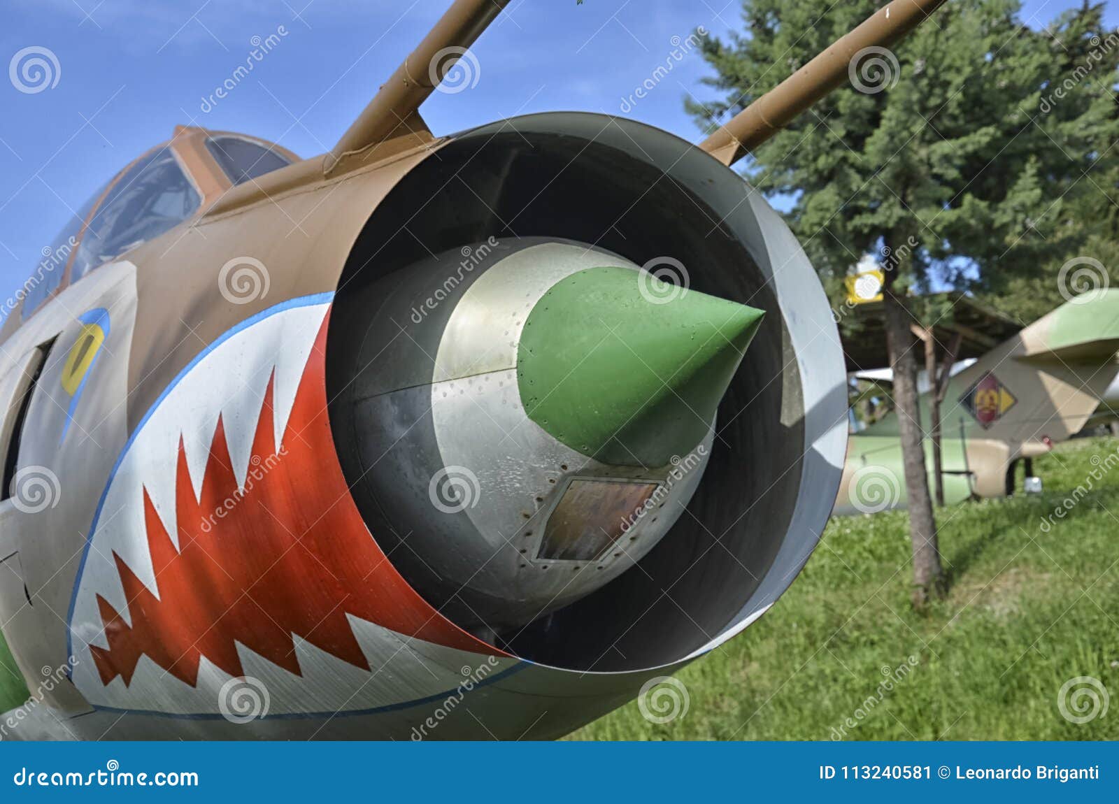 Sukhoi Su-17 Variable-sweep Wing Aircraft Stock Image - Image of ...