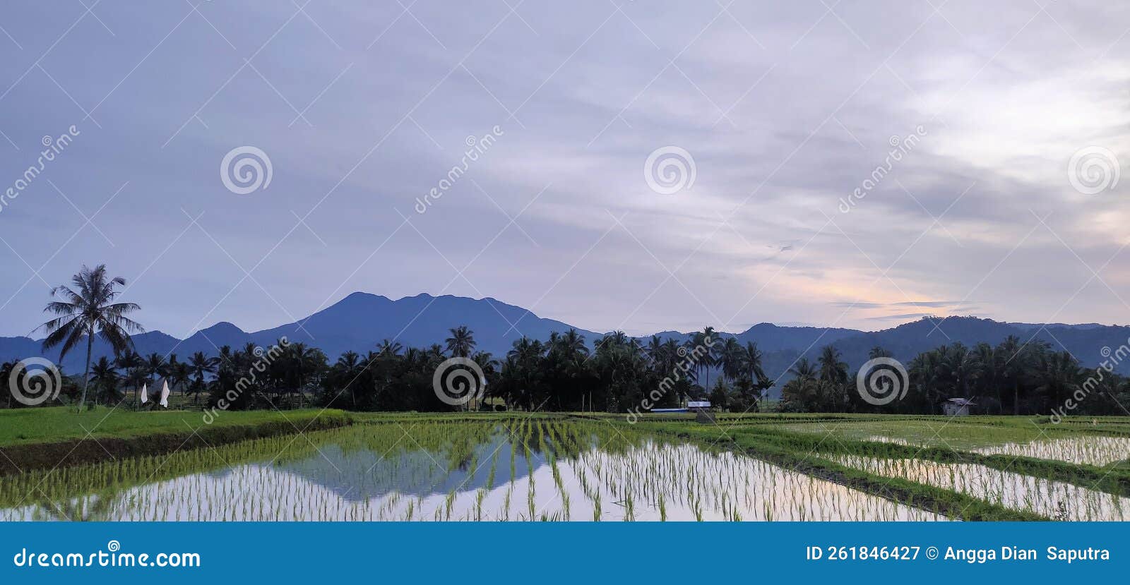 View in Sumatra Barat Indonesia Beautiful Stock Image - Image of ...