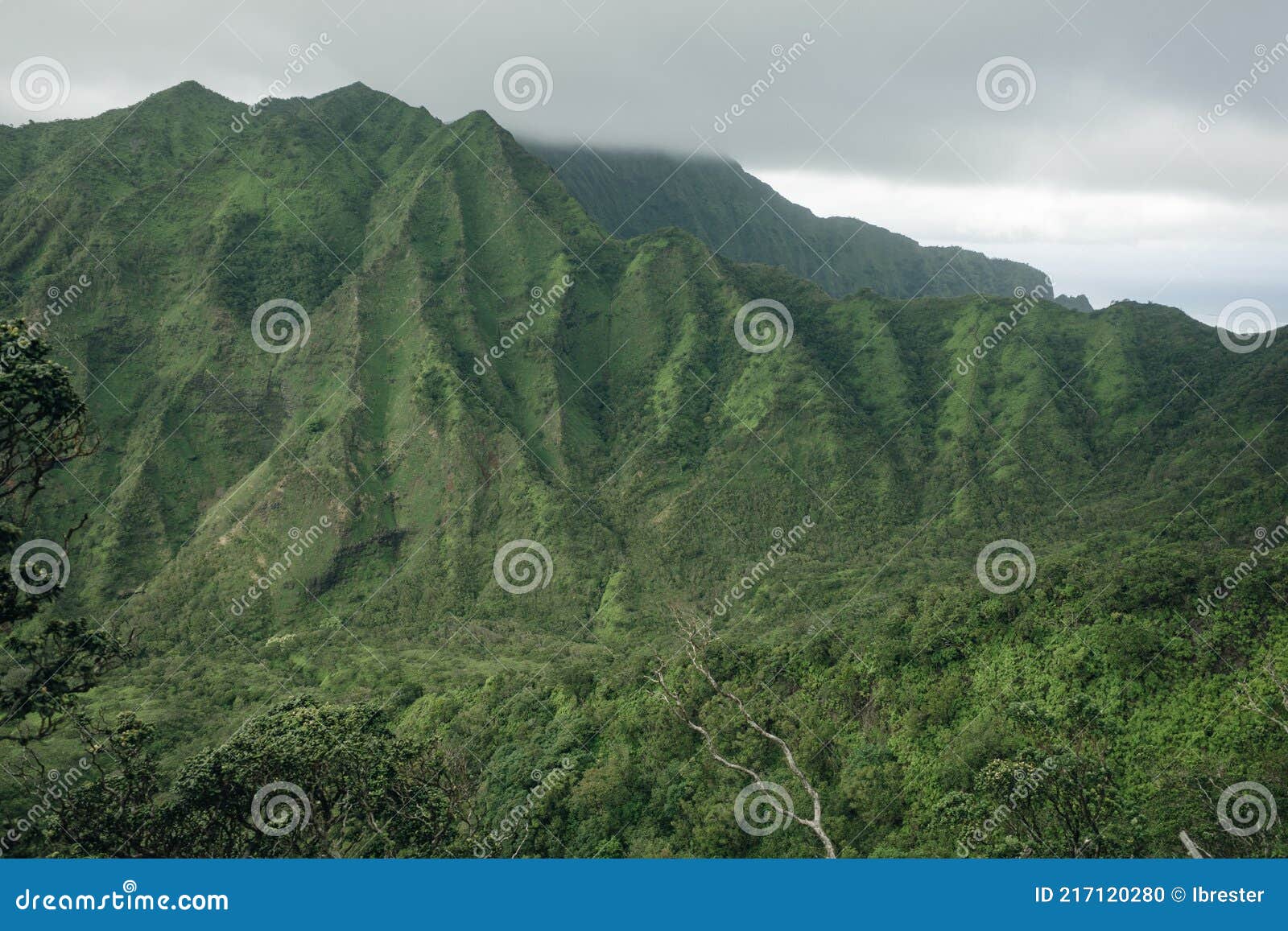 View from the Summit of the Koolau Mountain Range on the Island of Oahu ...