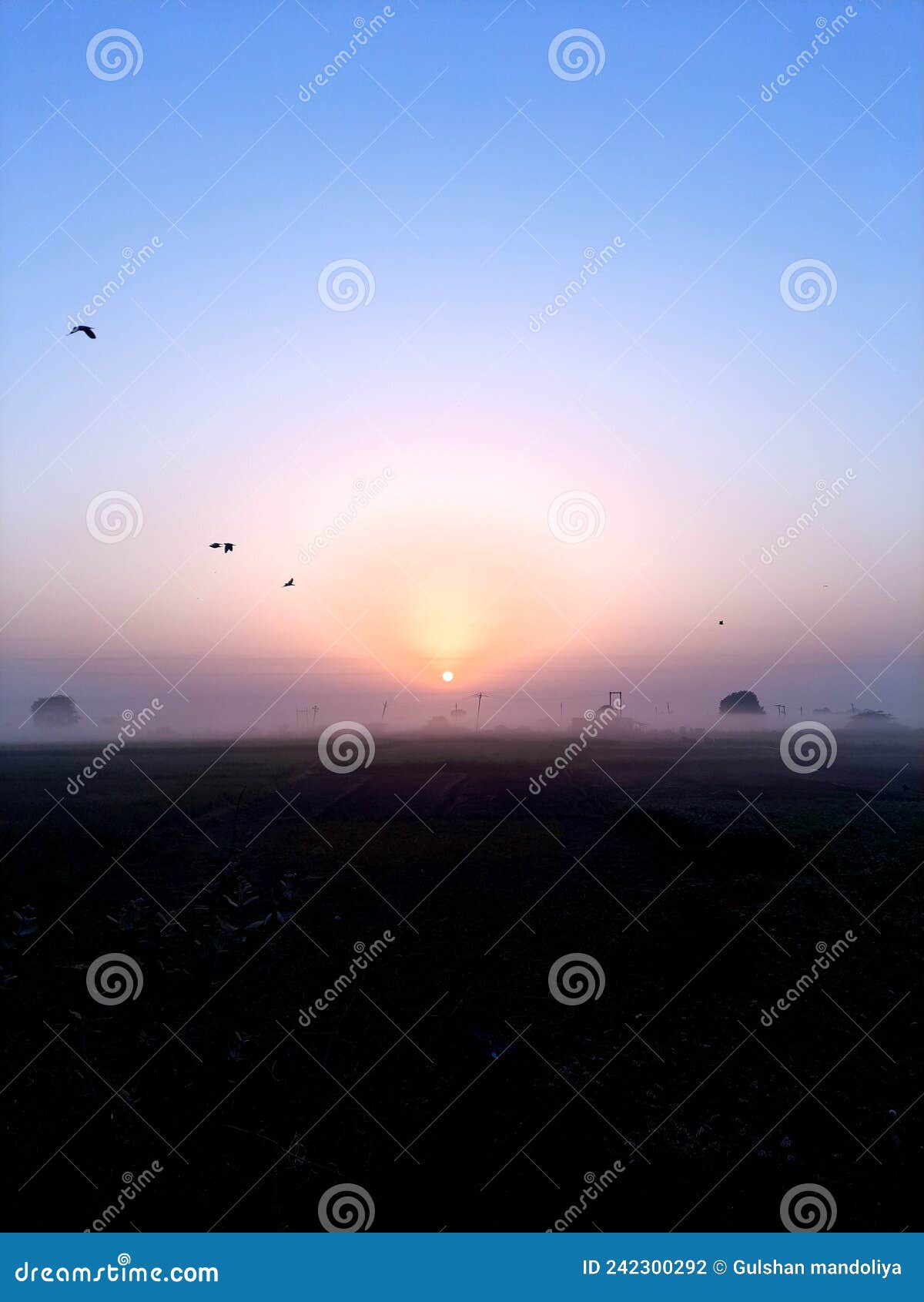 View of the Sun from Earth Morning Stock Photo - Image of morning, view ...