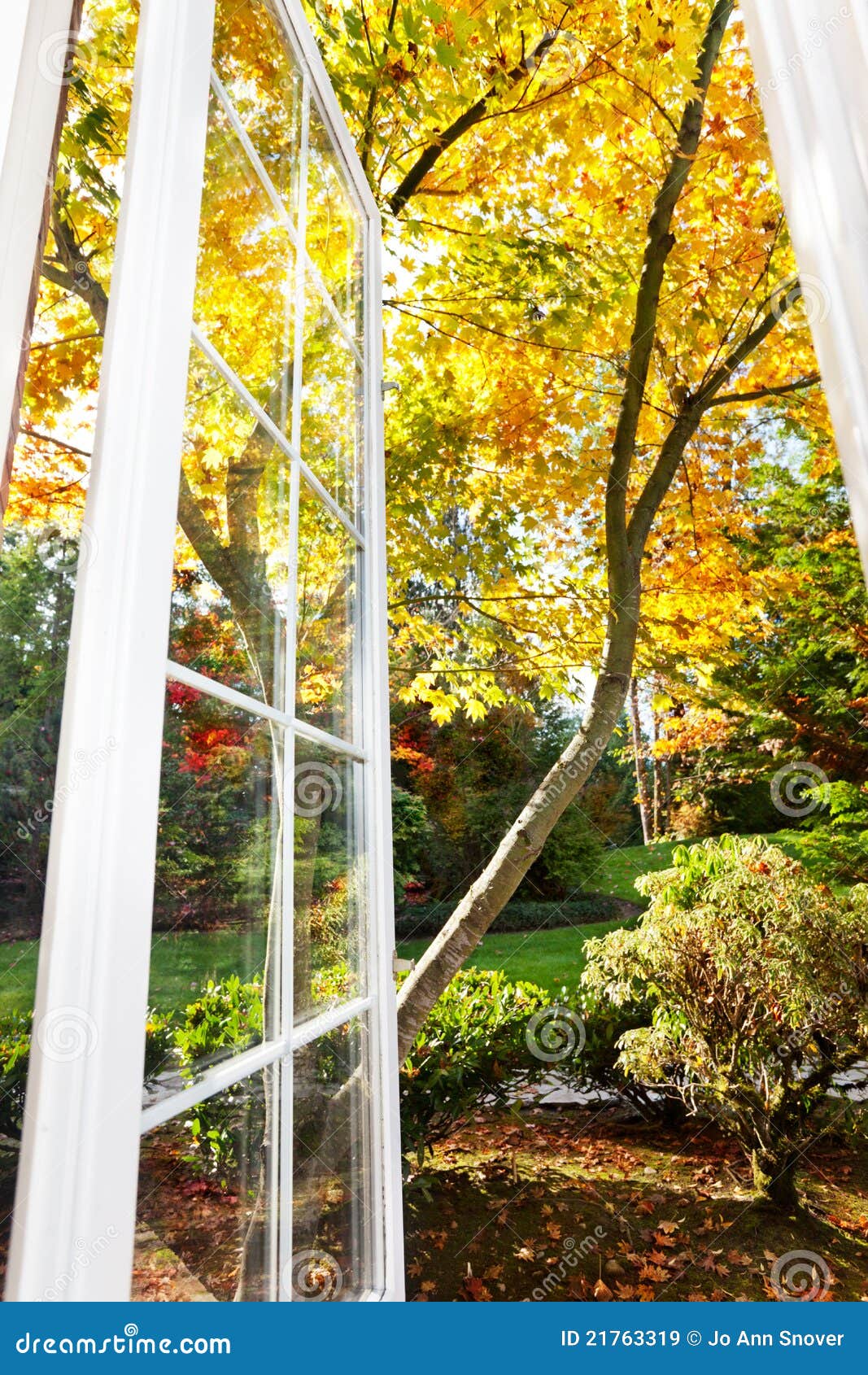 View of a Sunny Fall Afternoon Stock Image - Image of vertical, trees ...