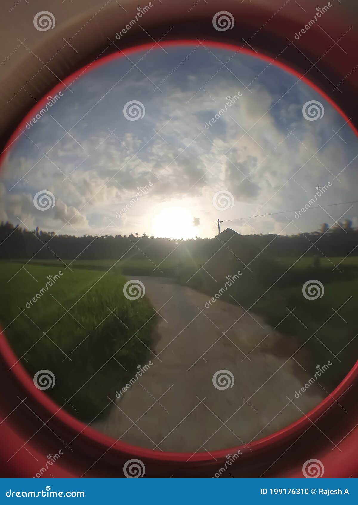 View of Sky Over the Meadow Focus on the Middle Stock Photo - Image of ...