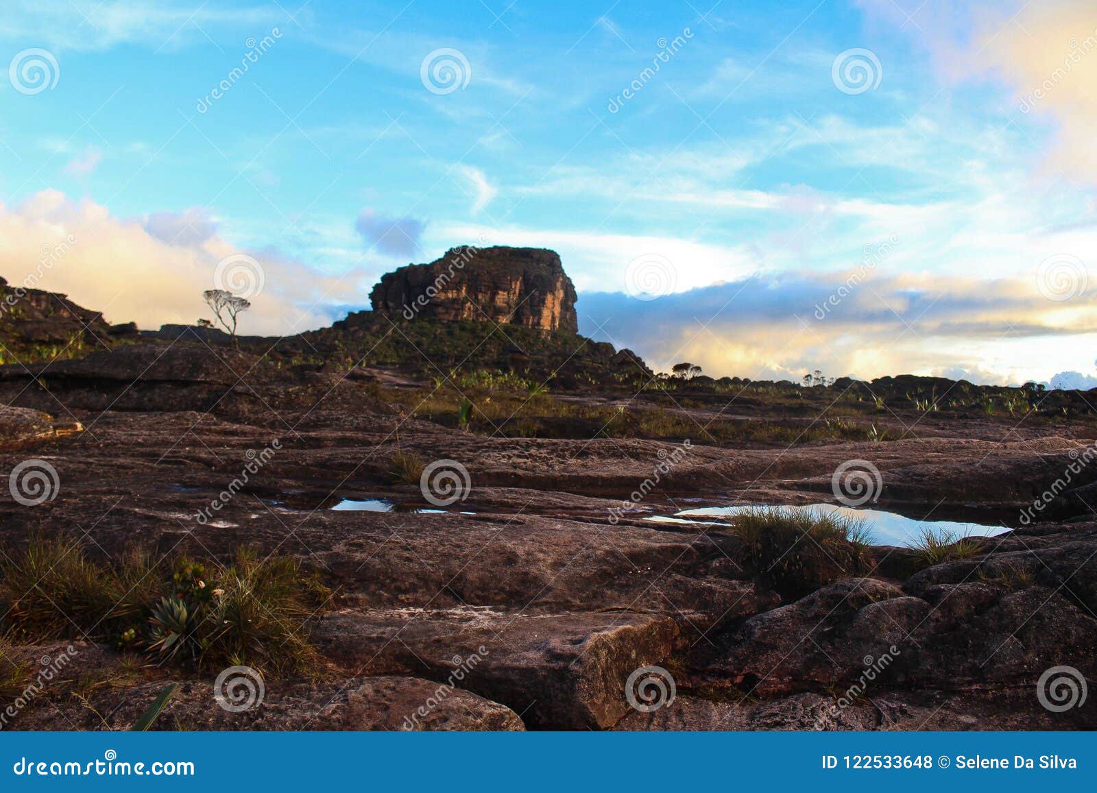 View of the Sunset and the Vegetation from the Top of Mount Roraima ...