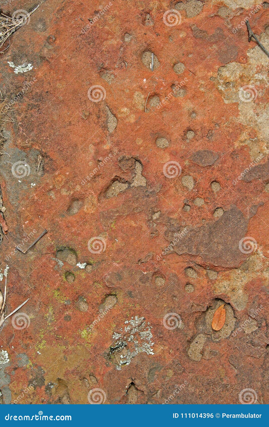 POCKMARKED SURFACE of ROCK stock photo. Image of daytime - 111014396