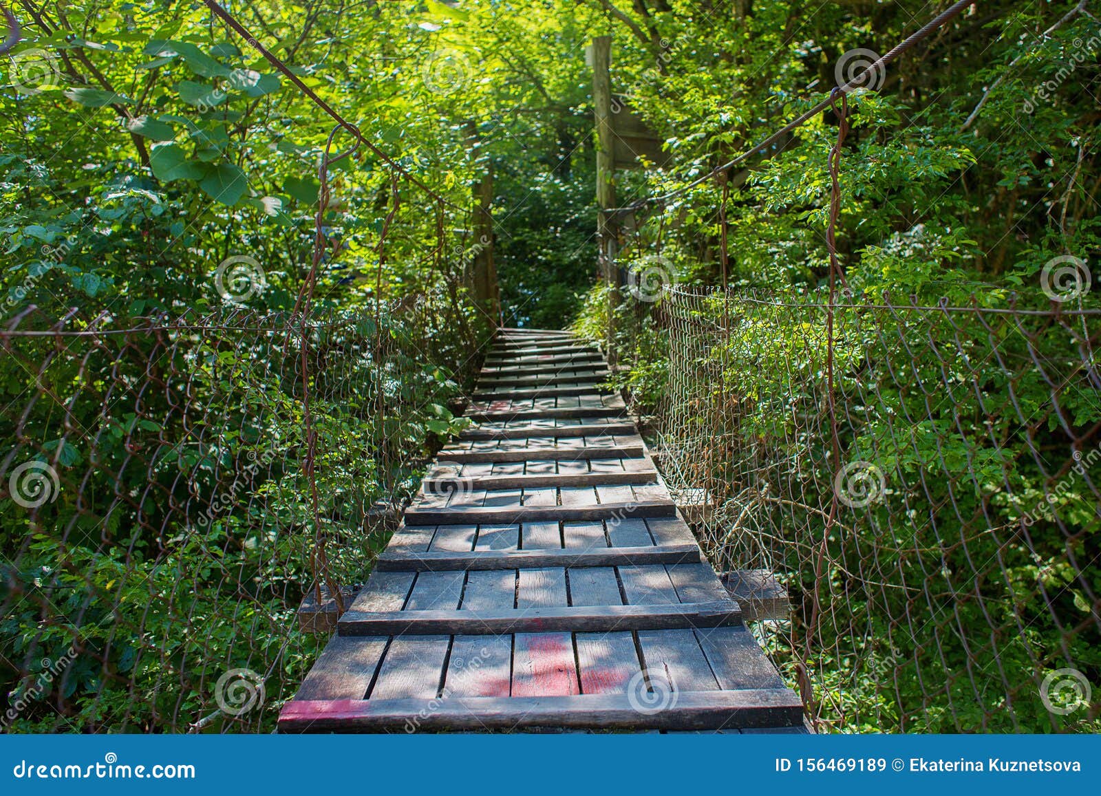 View of Suspended Wooden Bridge among Green Trees Stock Image - Image ...