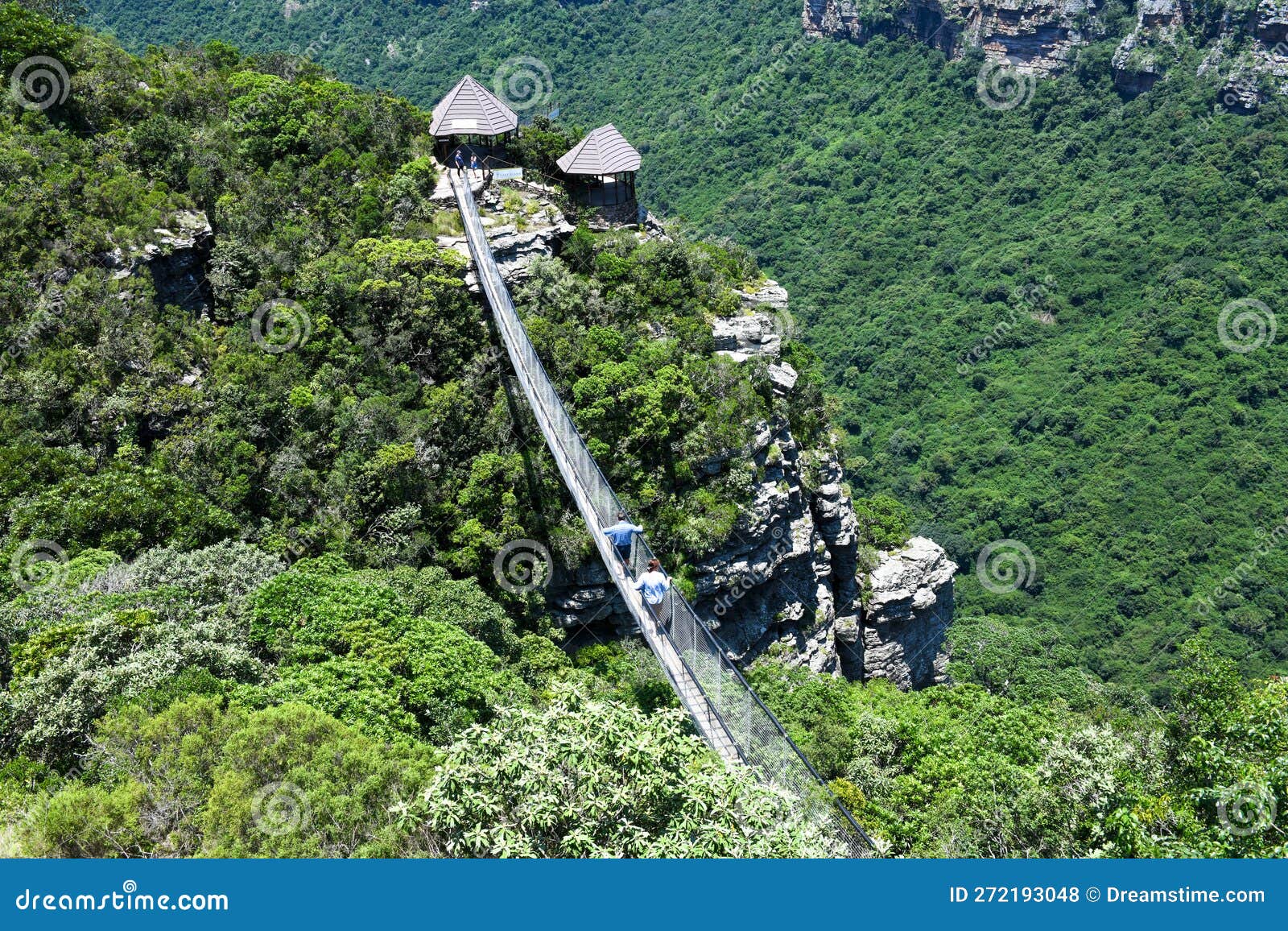 ORIBI GORGE ZIP LINE SUSPENDED OVER CHASM Stock Photo | CartoonDealer ...