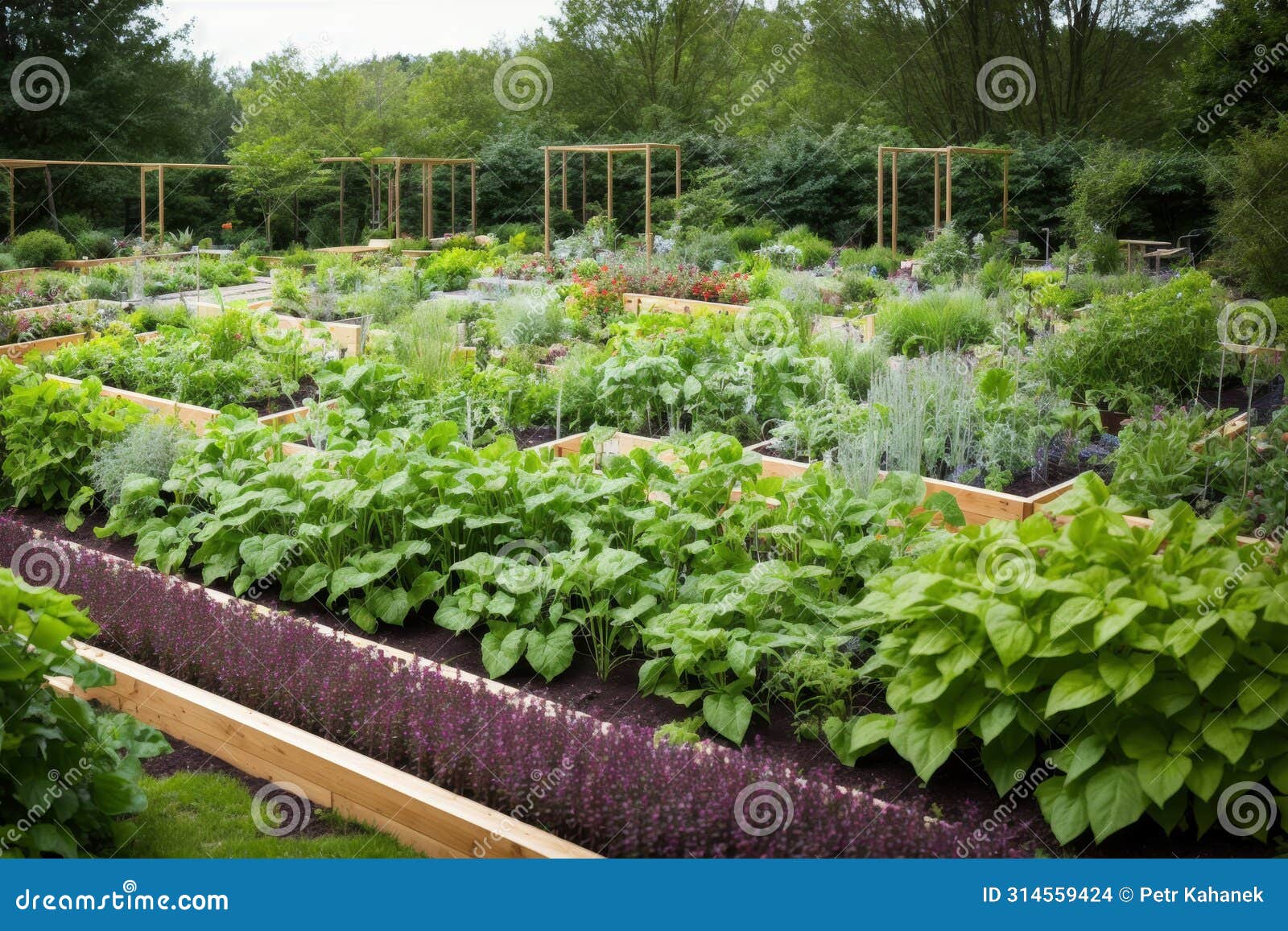 View of a Sustainable Garden with Vertically Integrated Planting ...