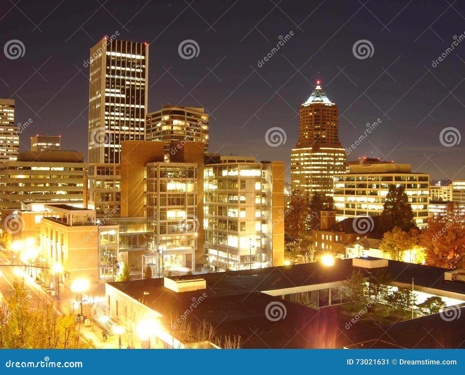 2005 View of SW Portland Downtown Stock Image - Image of night, shows ...