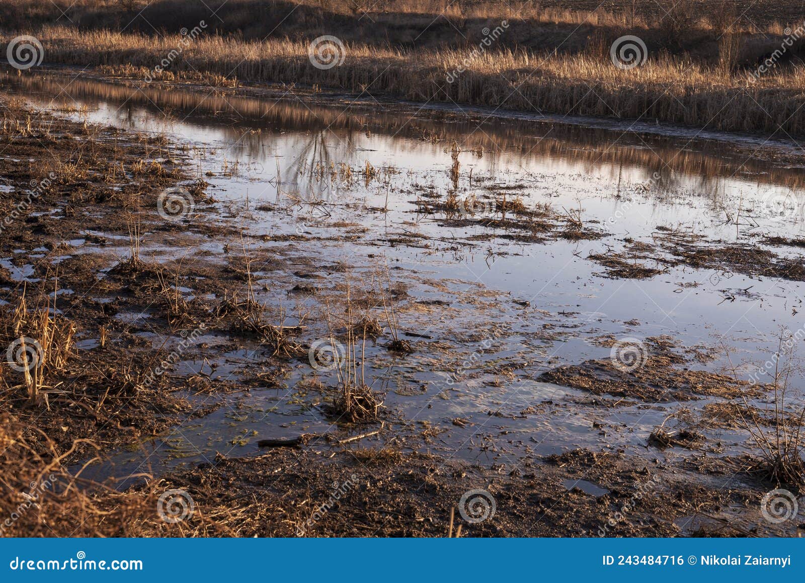 View of Swamp. Polluted River Stock Photo - Image of design, material ...