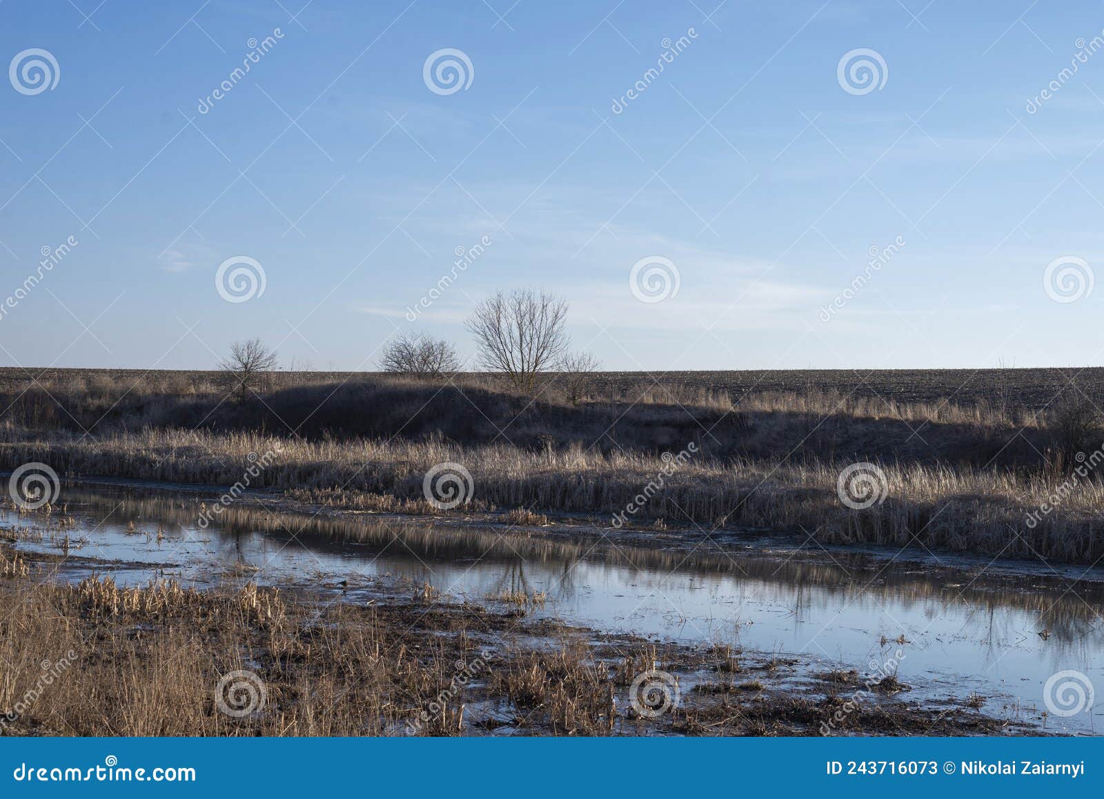 View of Swamp. Polluted River Stock Image - Image of park, background ...