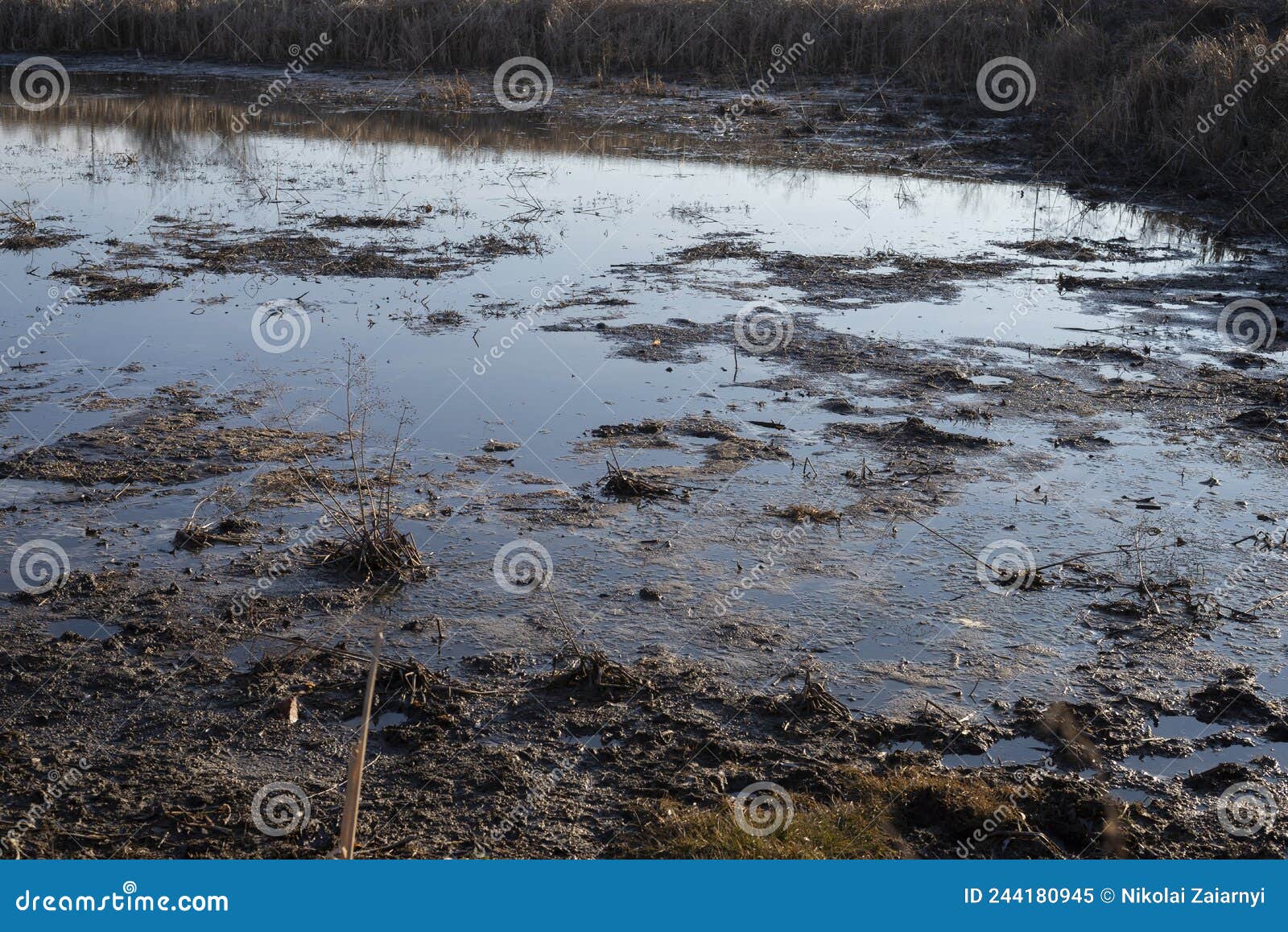 View of Swamp. Polluted River Stock Image - Image of land, environment ...