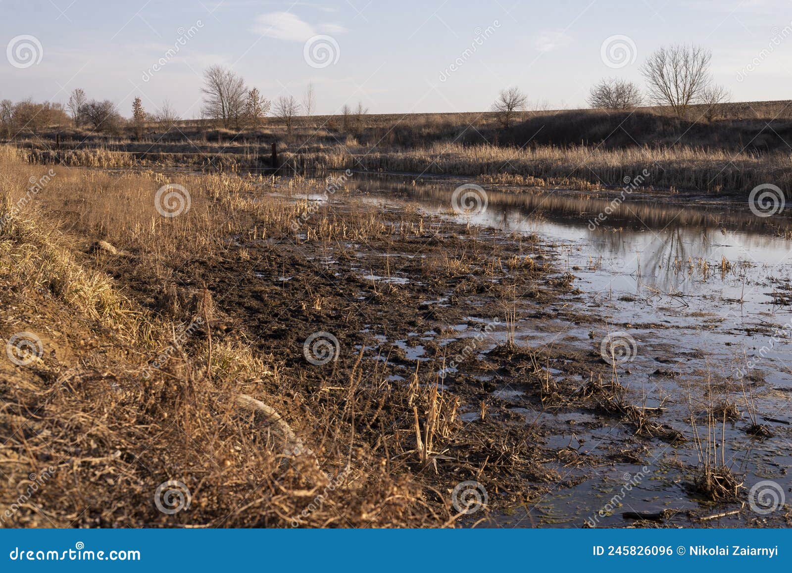 View of Swamp. Polluted River Stock Photo - Image of background, ground ...