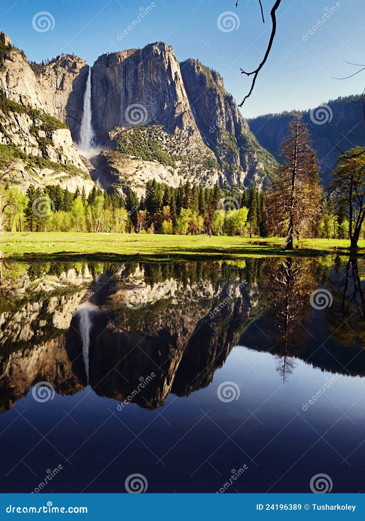 A View from Swinging Bridge Yosemite Stock Image - Image of upper ...